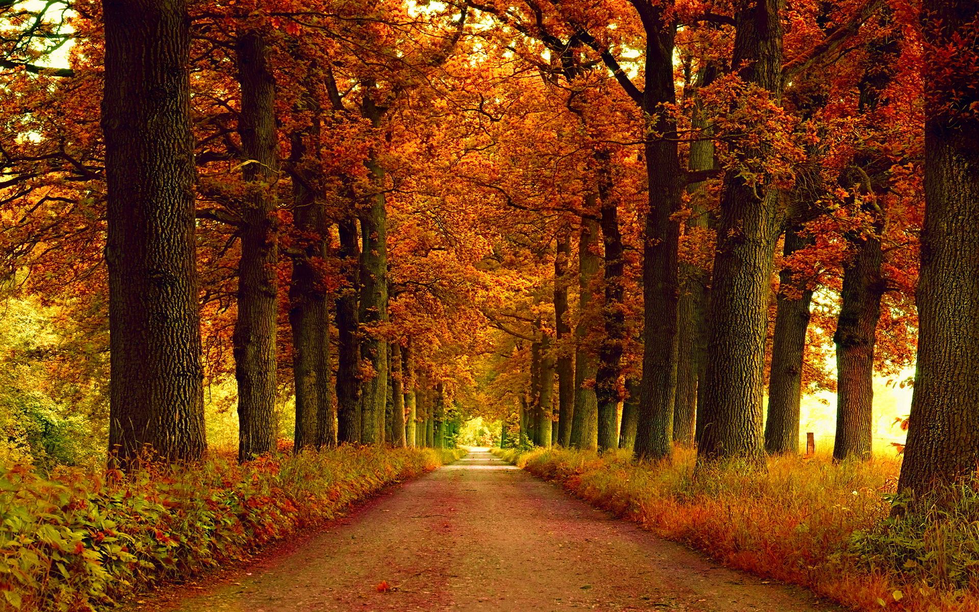 Autumn In The Park Wallpapers - Wallpaper Cave