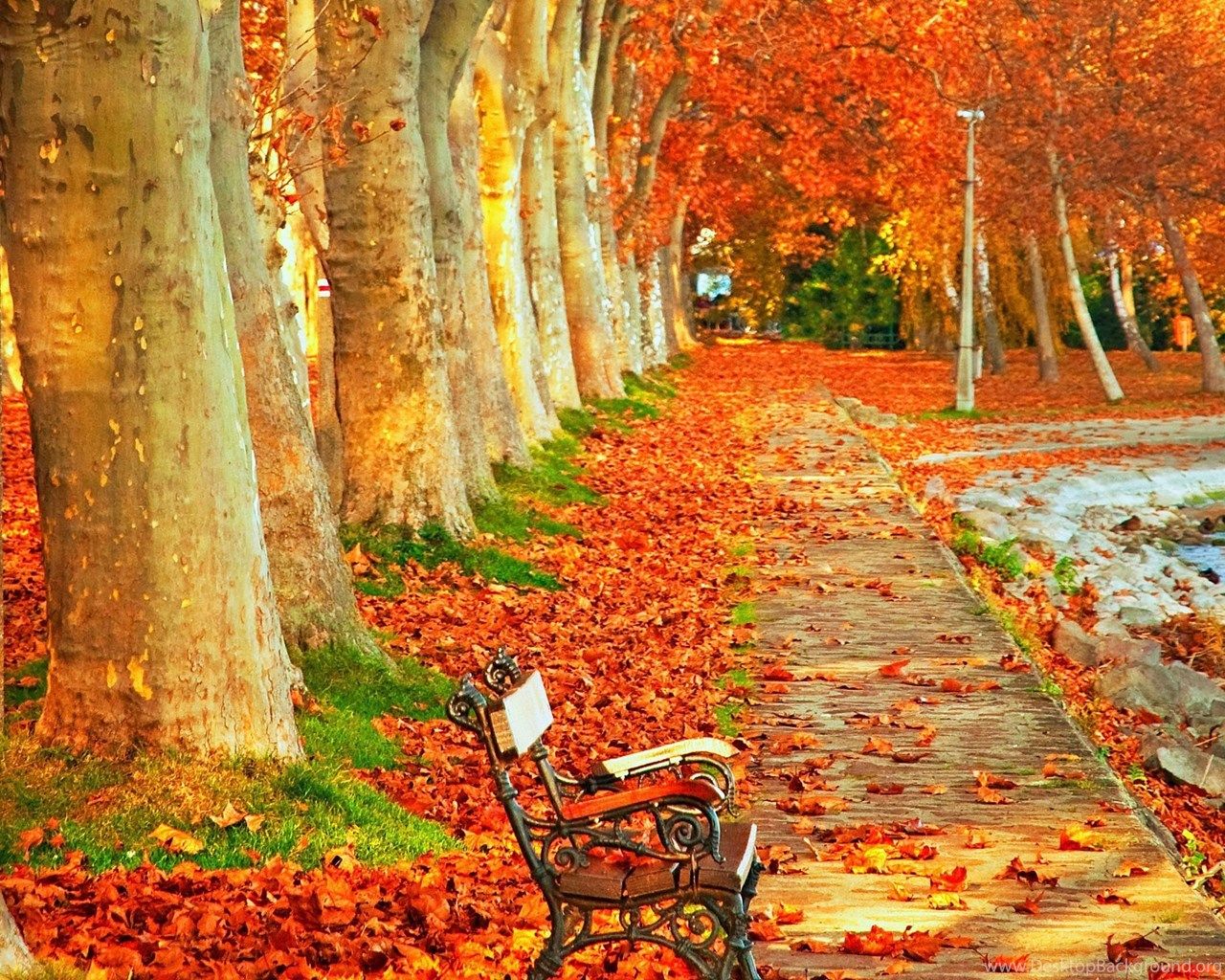 Autumn In The Park Wallpapers - Wallpaper Cave