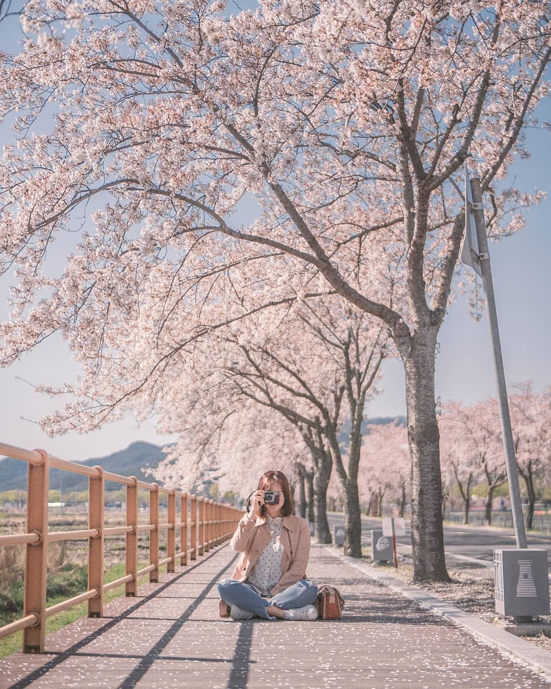 Autumn Nami Island Wallpapers - Wallpaper Cave