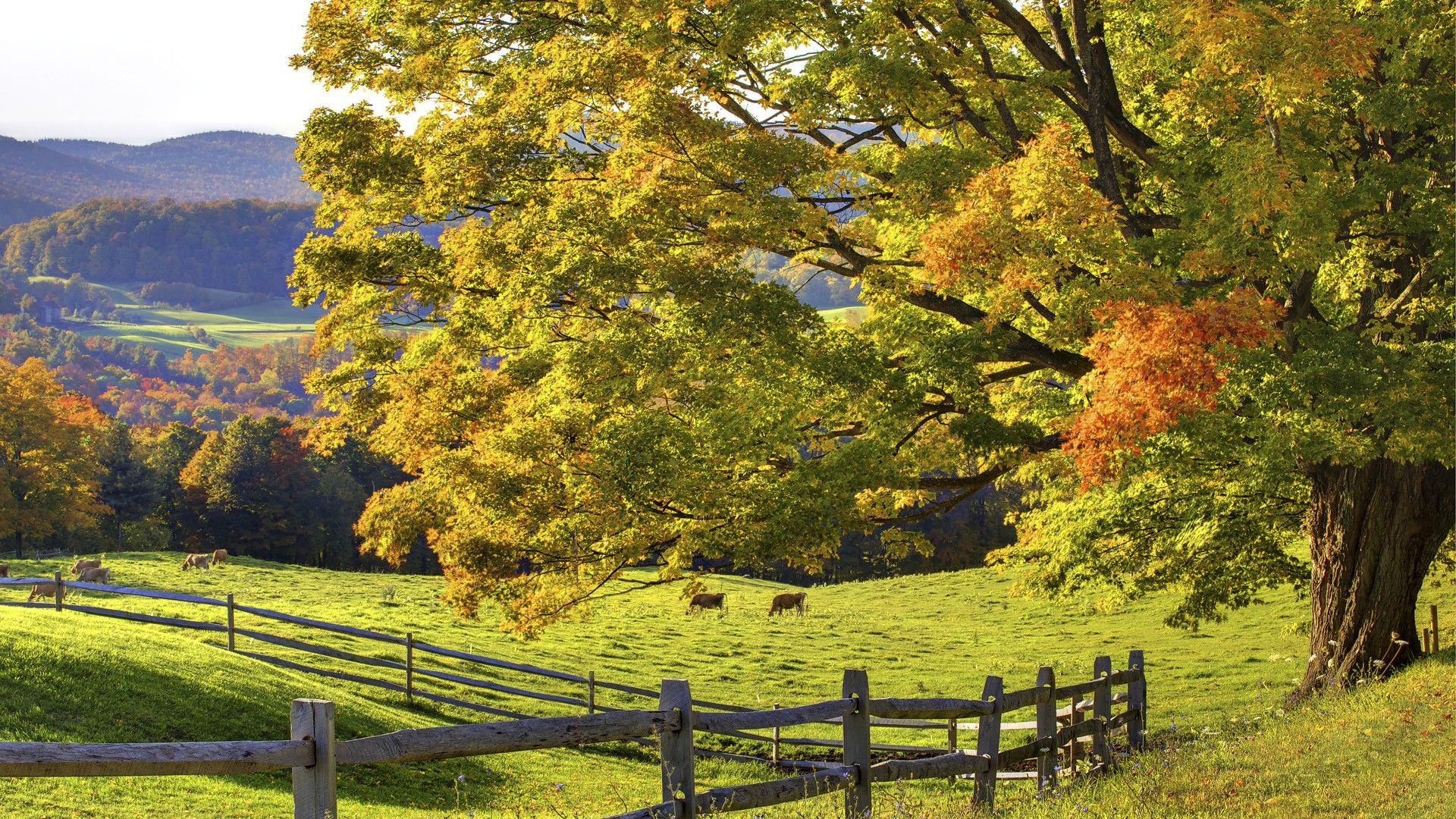 Vermont Autumn Wallpapers - Wallpaper Cave
