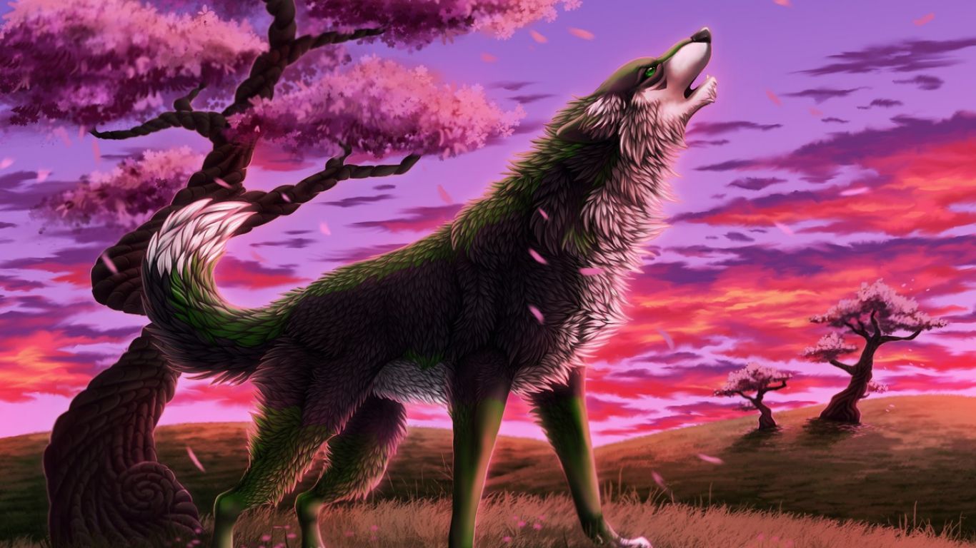 Sunset Wolves Wallpapers - Wallpaper Cave