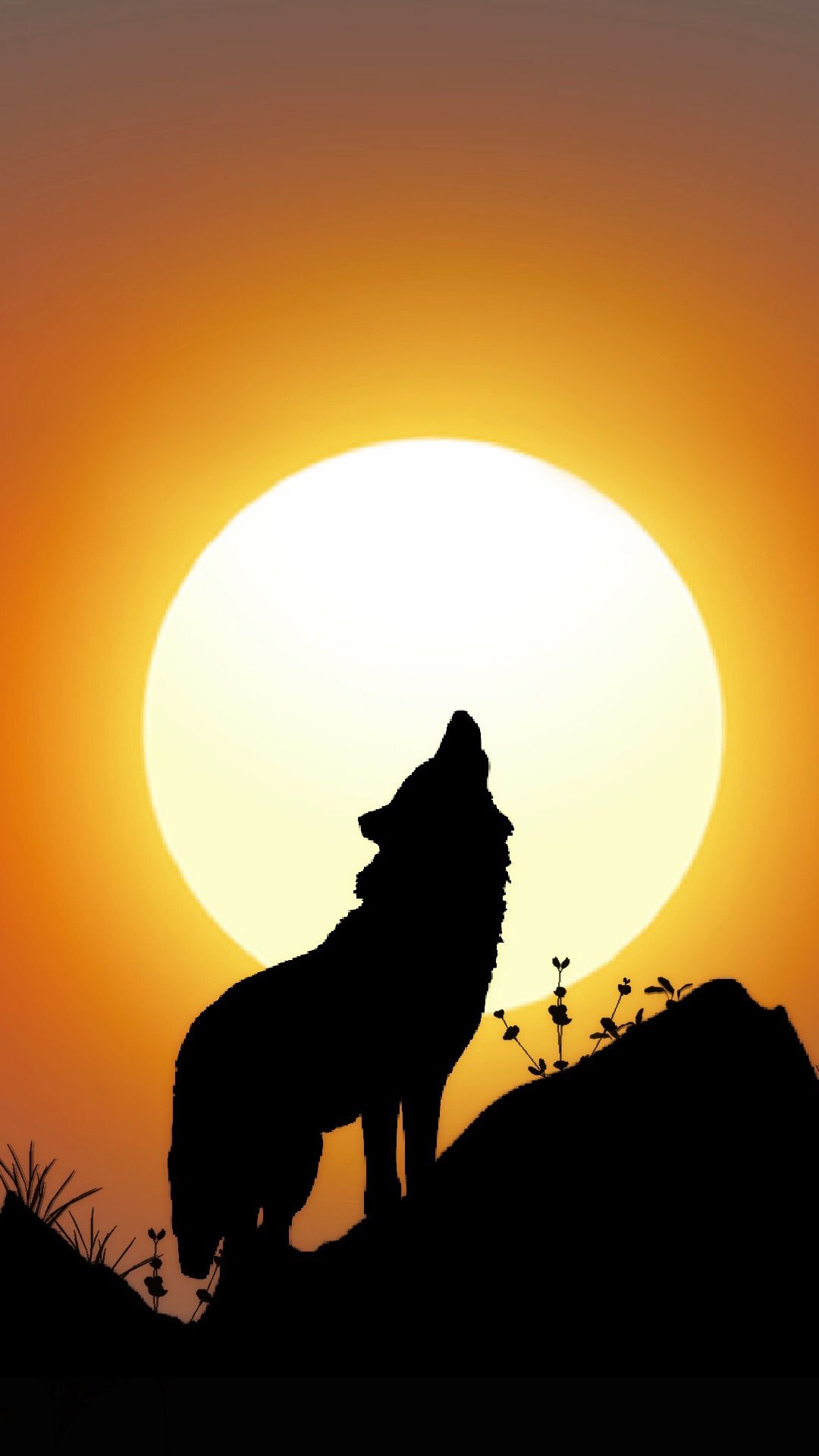 Sunset Wolves Wallpapers - Wallpaper Cave