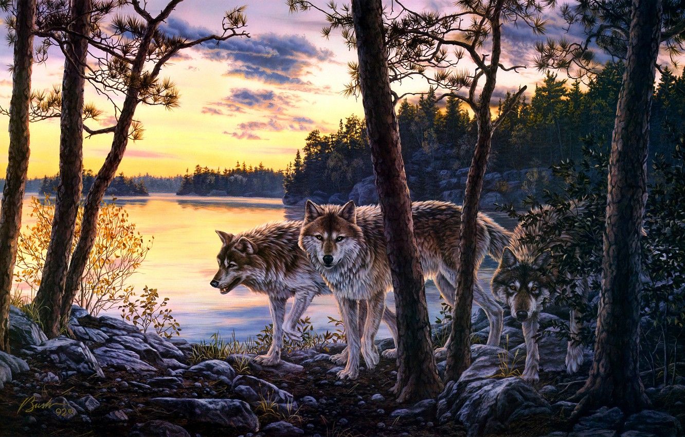 Sunset Wolves Wallpapers - Wallpaper Cave