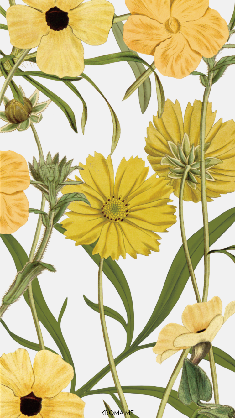 Fall Vibes Wallpapers - Wallpaper Cave