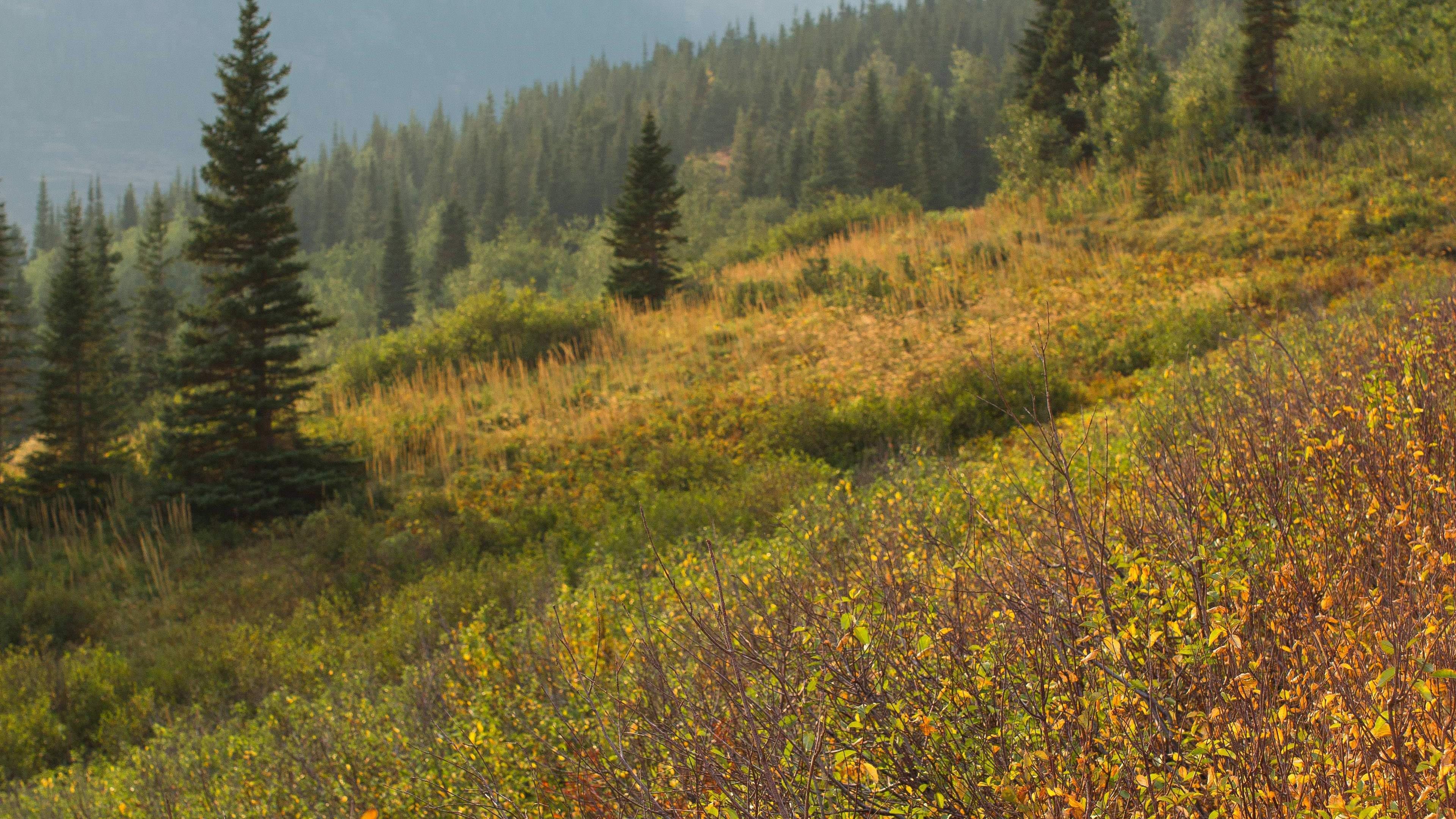 Autumn Montana Wallpapers - Wallpaper Cave