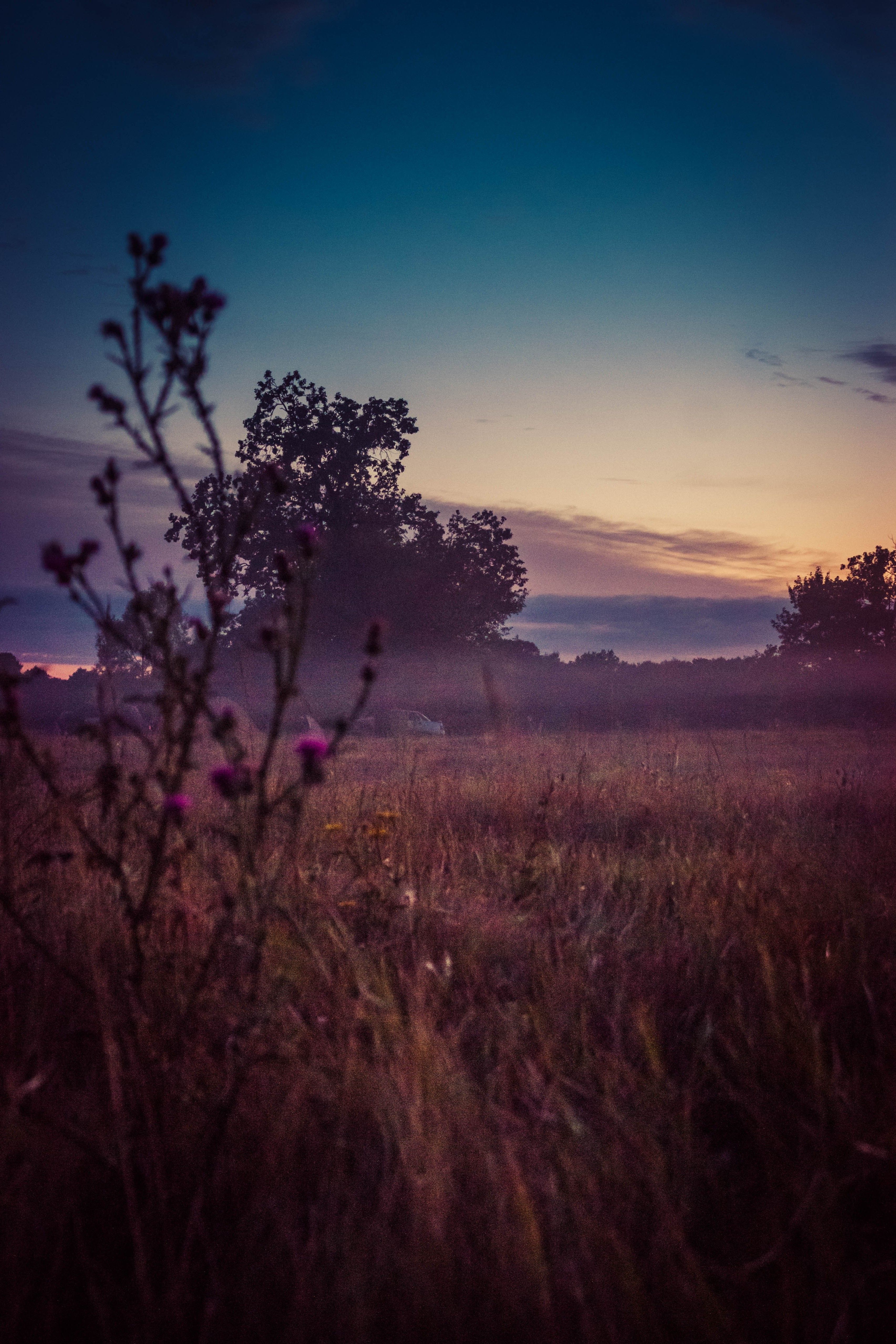 Smog Wallpapers - Wallpaper Cave