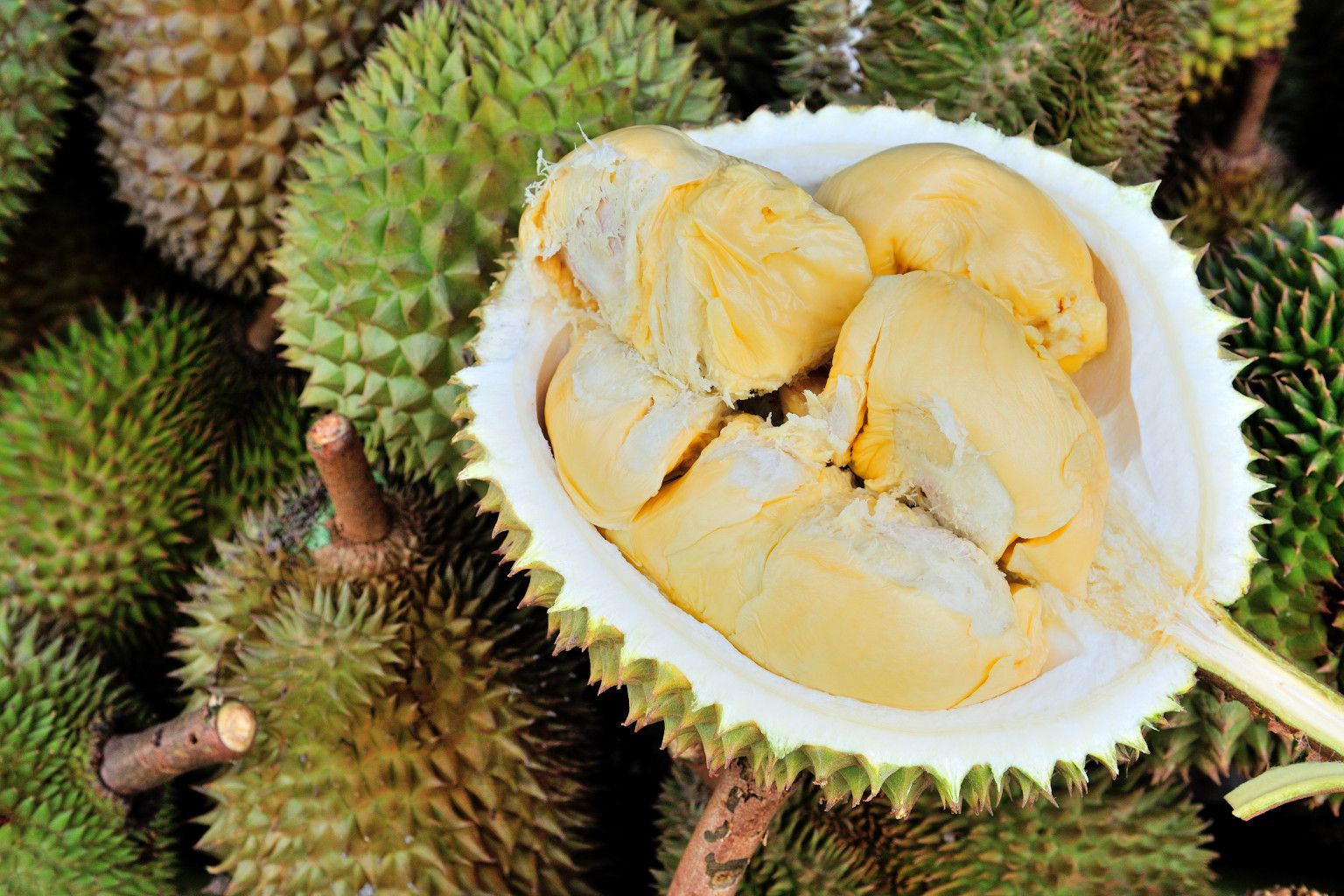 Durian Wallpapers - Wallpaper Cave