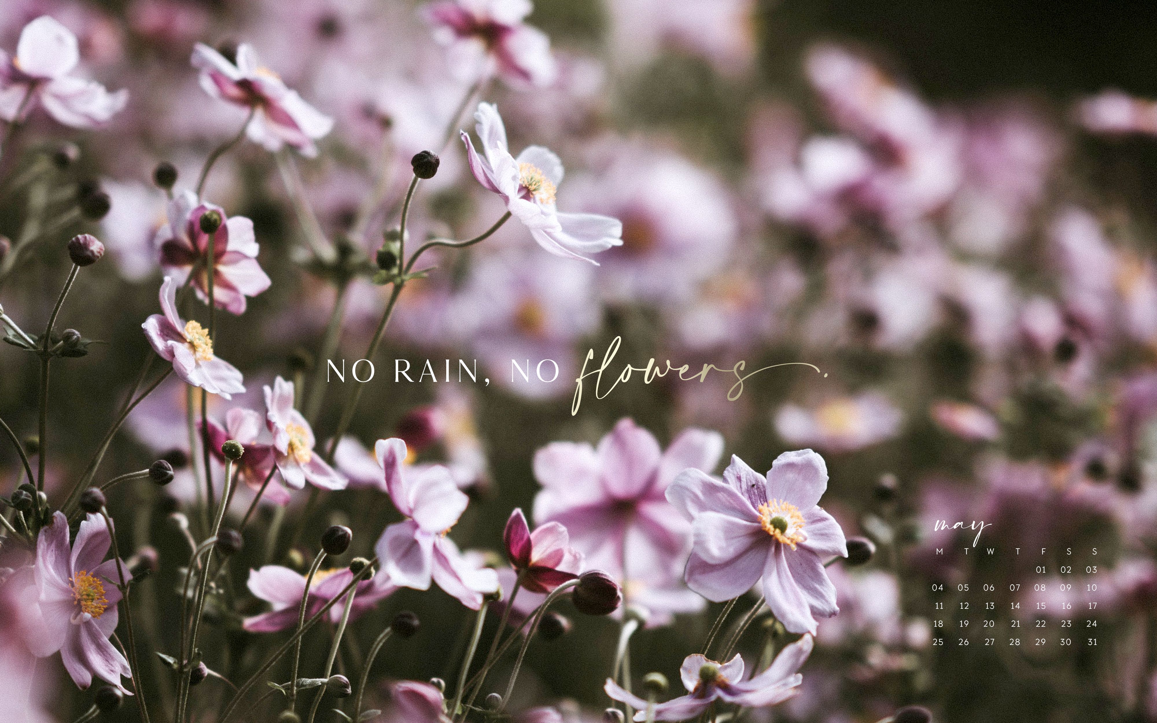 Aesthetic Spring PC Wallpapers - Wallpaper Cave