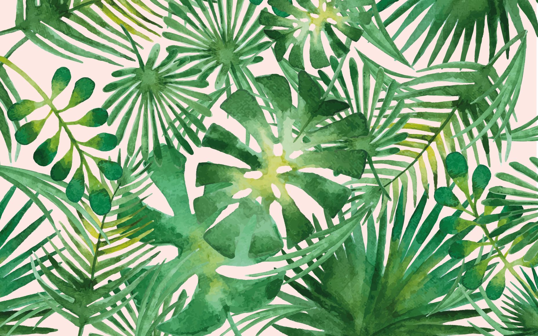 Exposici n Guia Mirar Tropical Leaves Desktop Wallpaper V spera A Nueve Exposici n Guia Mirar Tropical Leaves Desktop Wallpaper V spera A Nueve