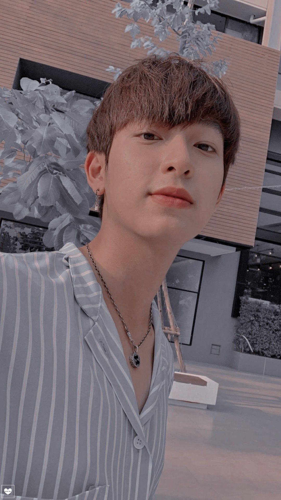 Chimon Wallpapers - Wallpaper Cave