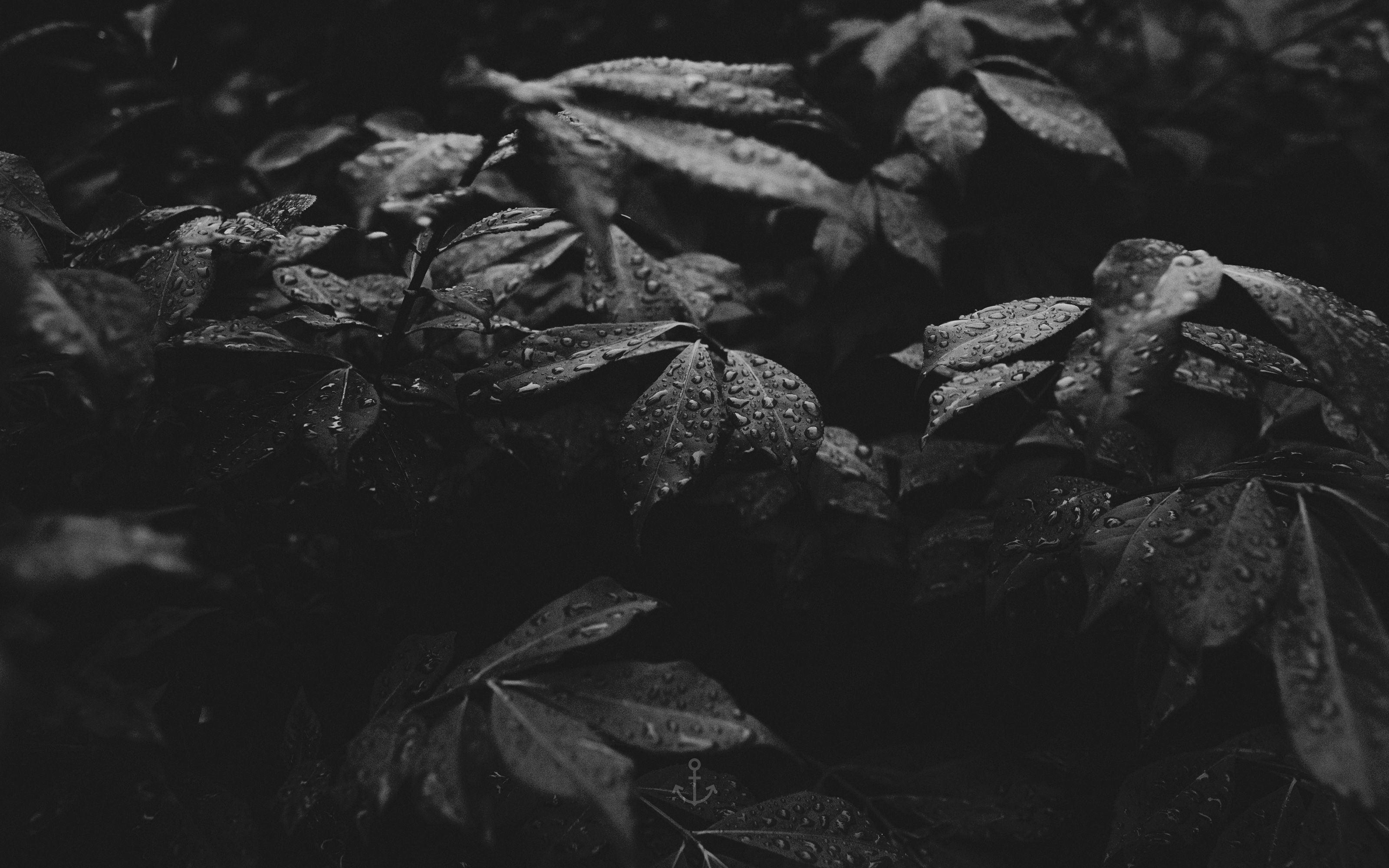 BLVCK Wallpapers - Wallpaper Cave