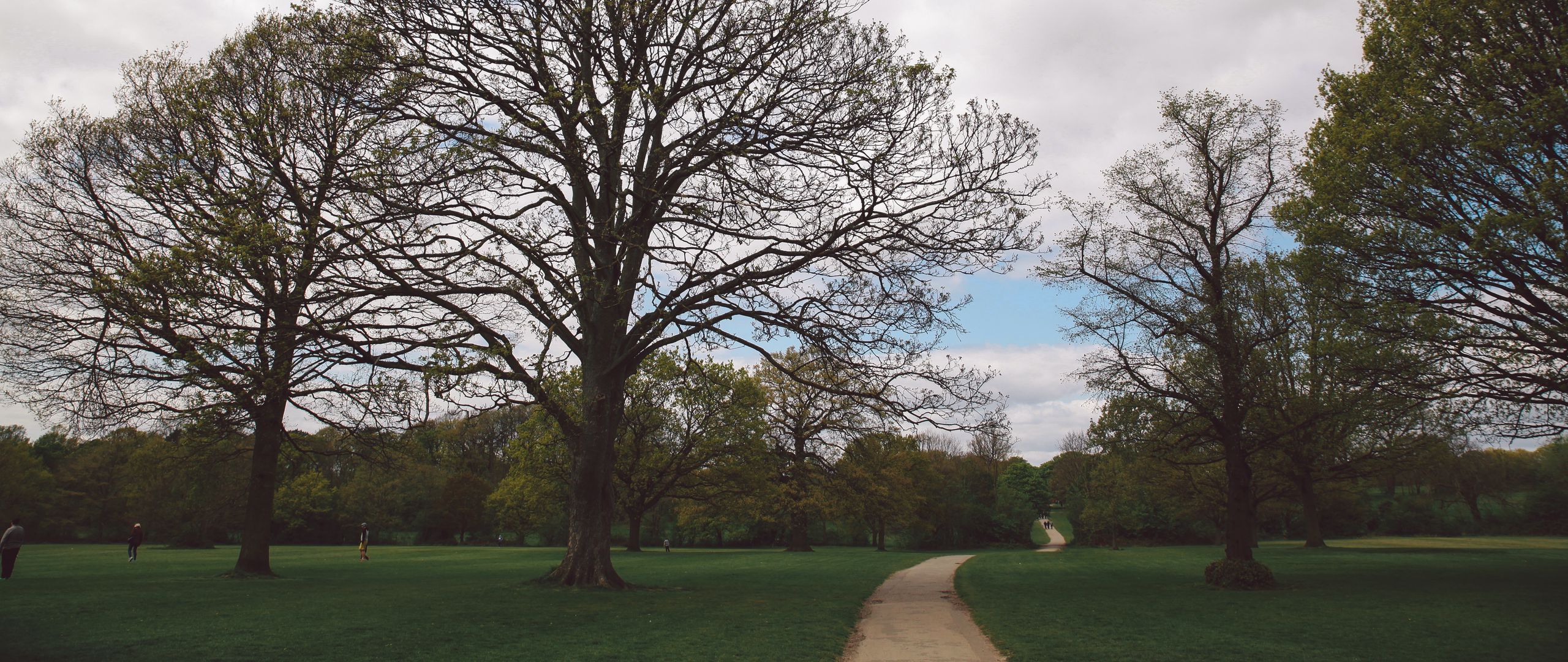 Garden Path Wallpapers - Wallpaper Cave