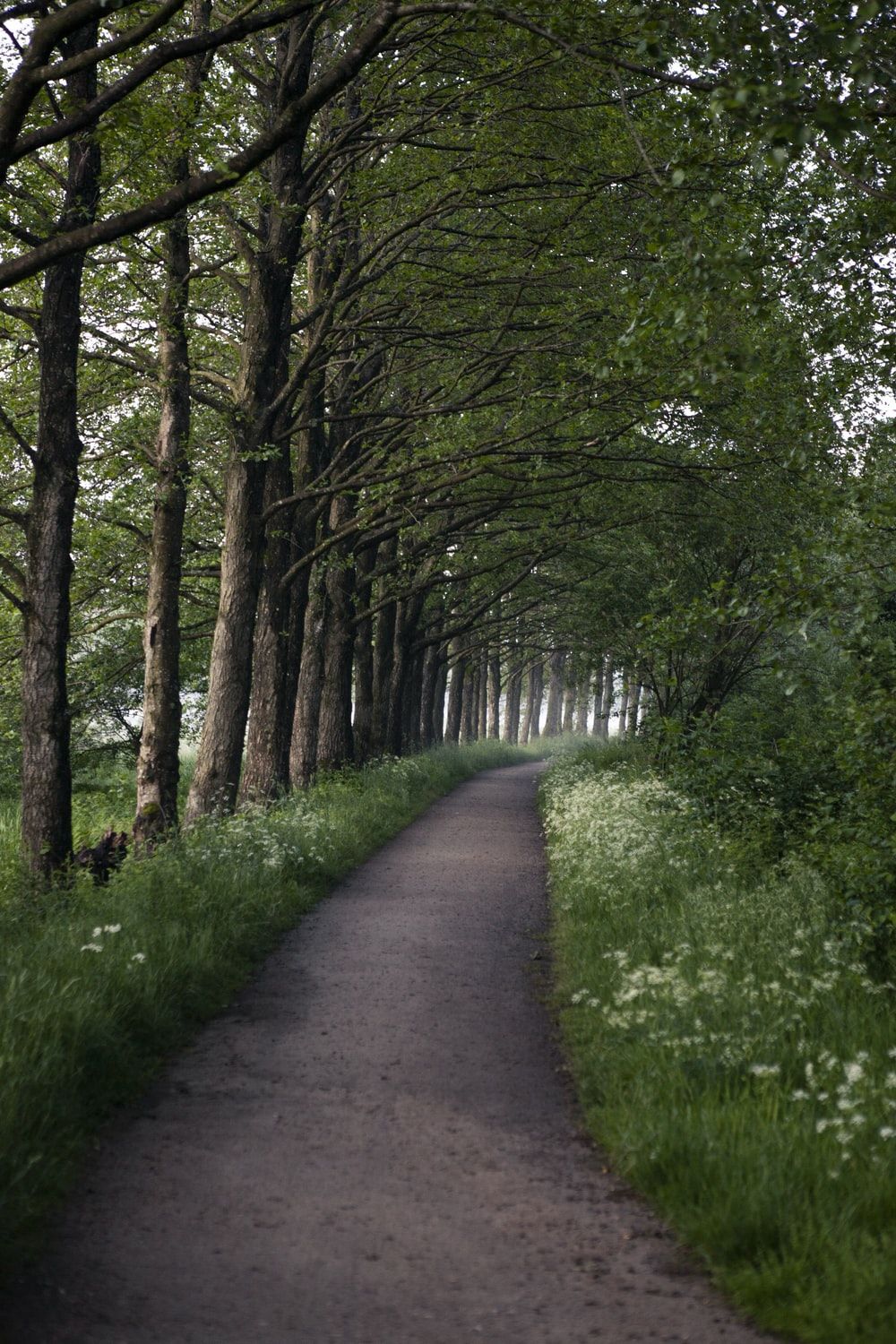 Garden Path Wallpapers - Wallpaper Cave