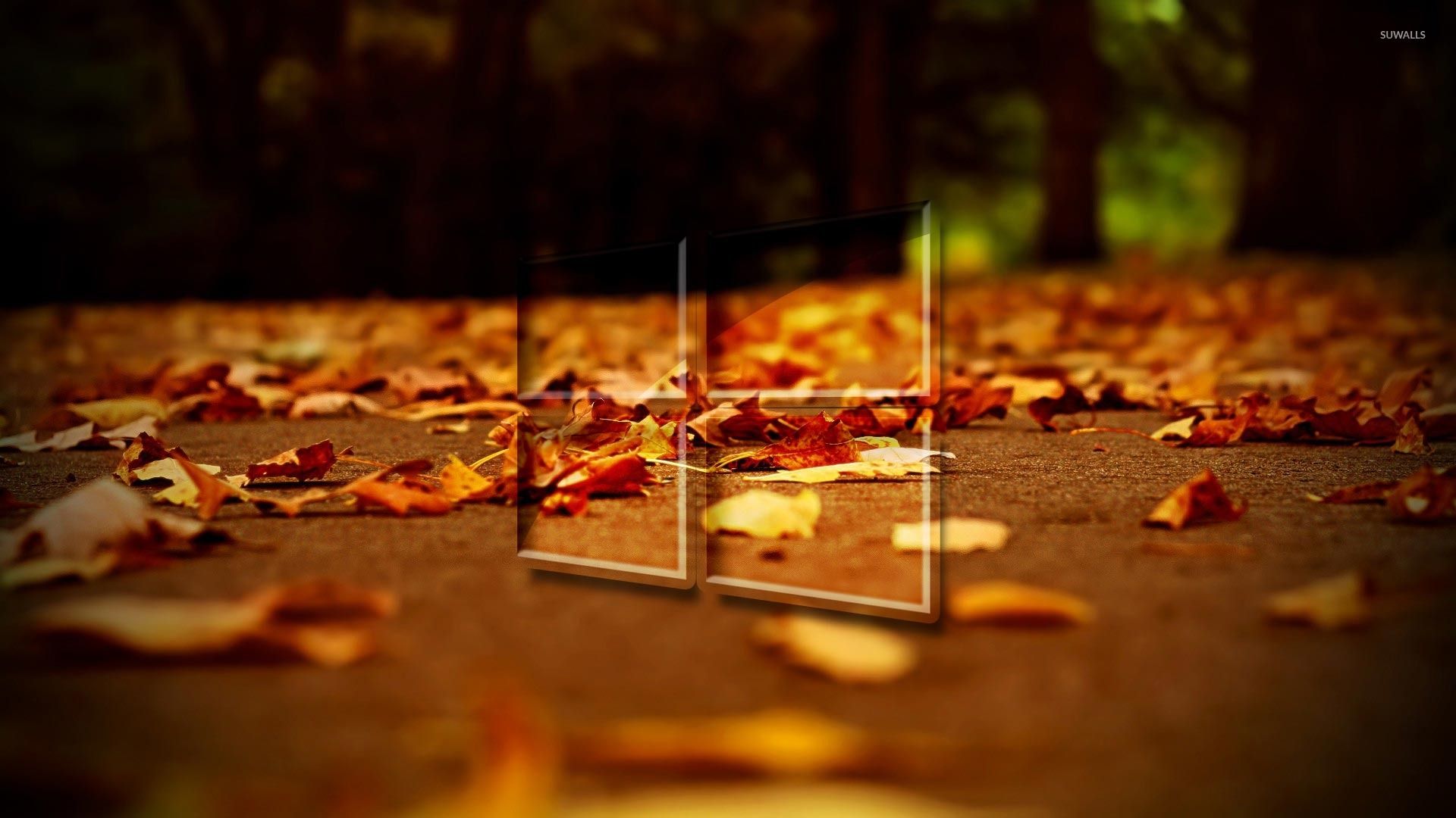 Autumn Window Wallpapers - Wallpaper Cave