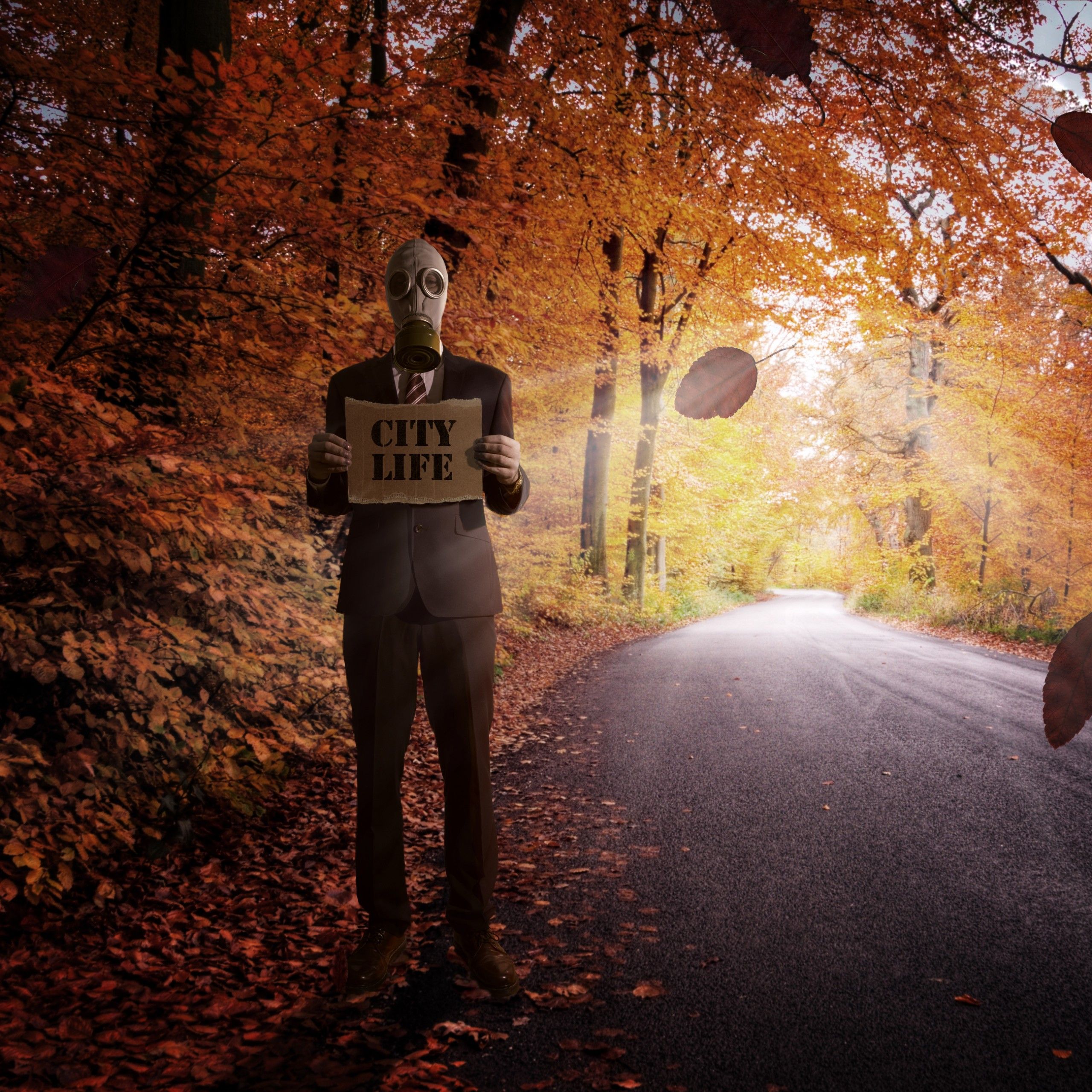 Autumn Life Wallpapers - Wallpaper Cave