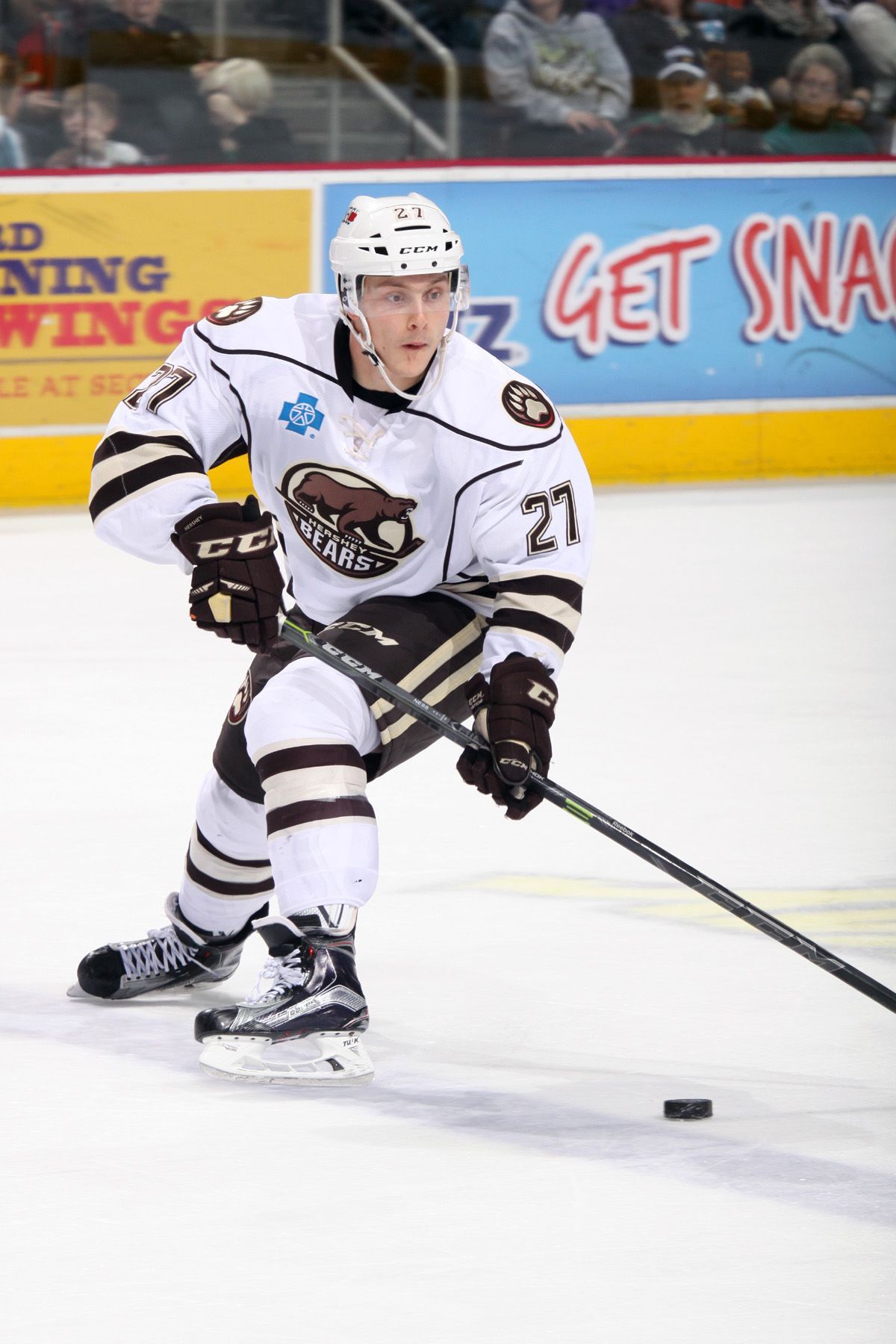 Hershey Bears Wallpapers - Wallpaper Cave