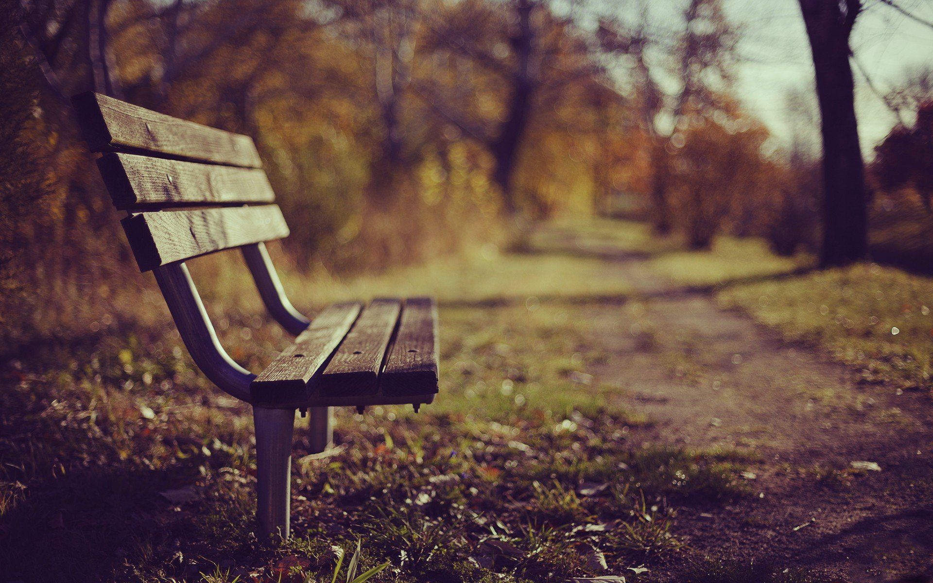 Bench Under Tree Wallpapers - Wallpaper Cave