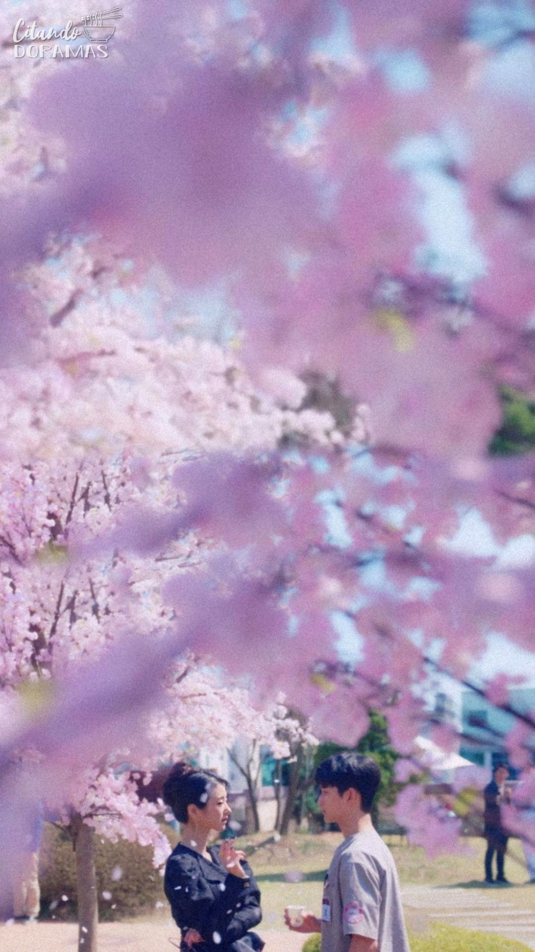 Dorama Wallpapers - Wallpaper Cave