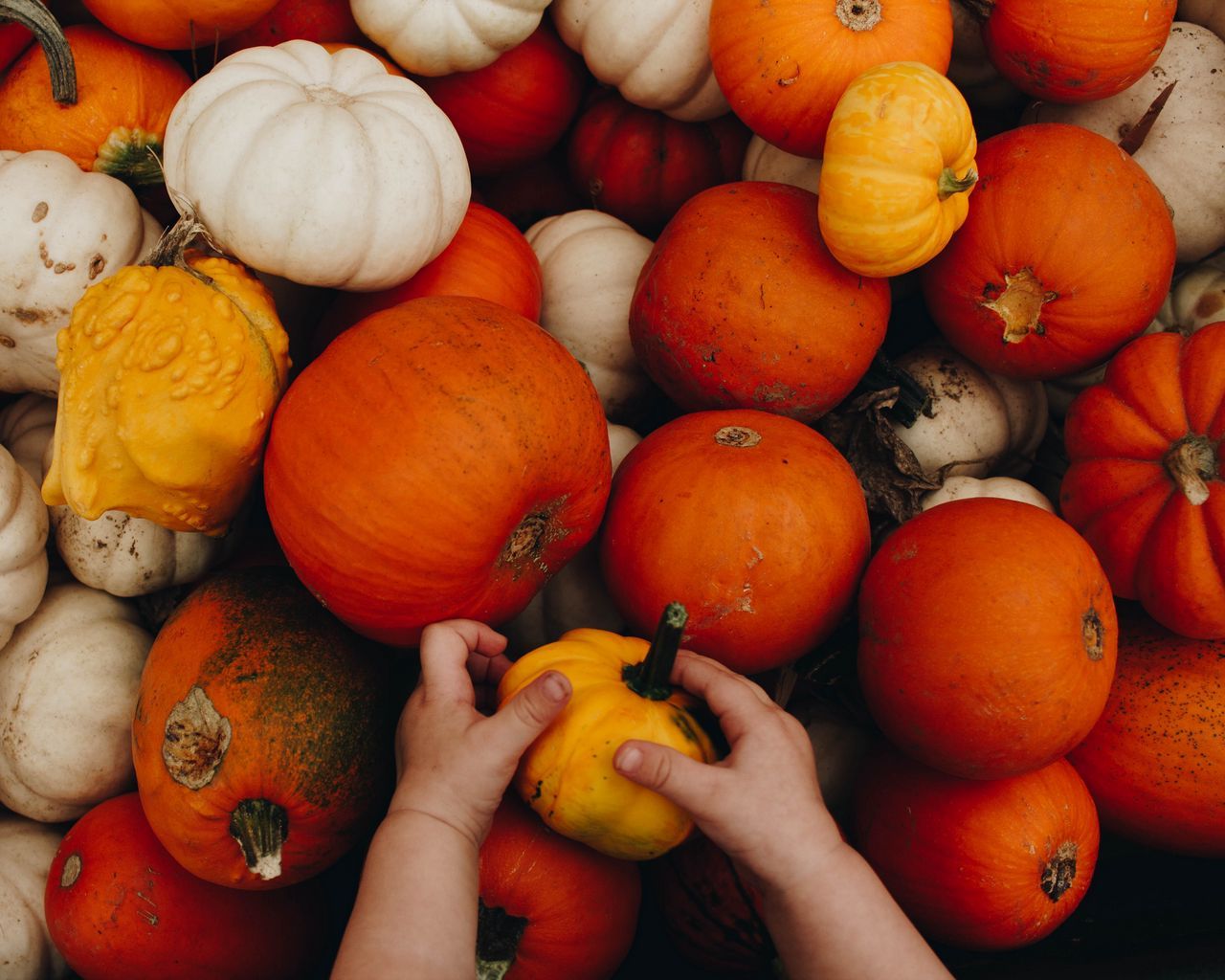 Food For Autumn Wallpapers - Wallpaper Cave