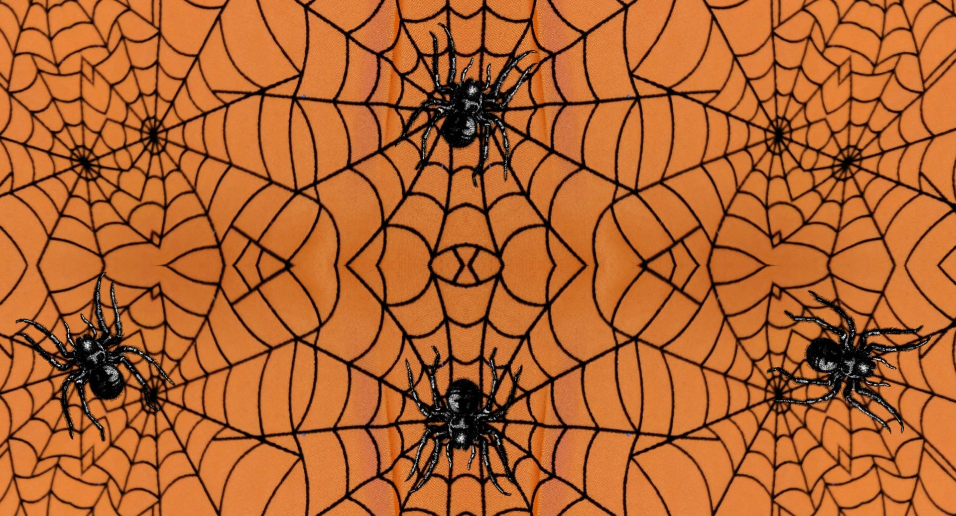 Halloween Spider Wallpapers Wallpaper Cave