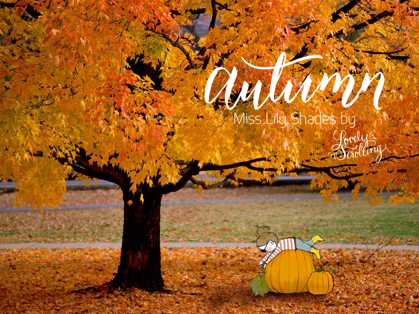 Miss Autumn Wallpapers - Wallpaper Cave