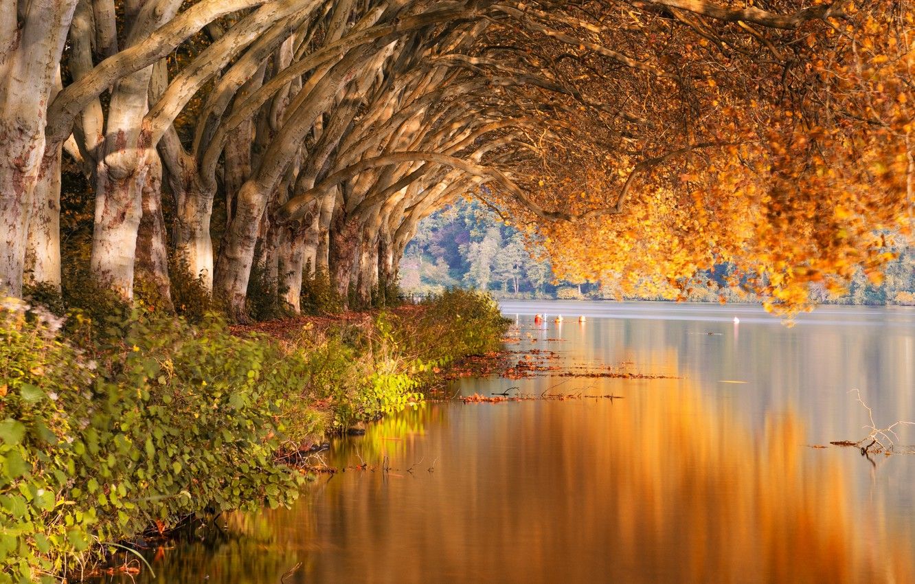 The Autumn Effect Wallpapers - Wallpaper Cave
