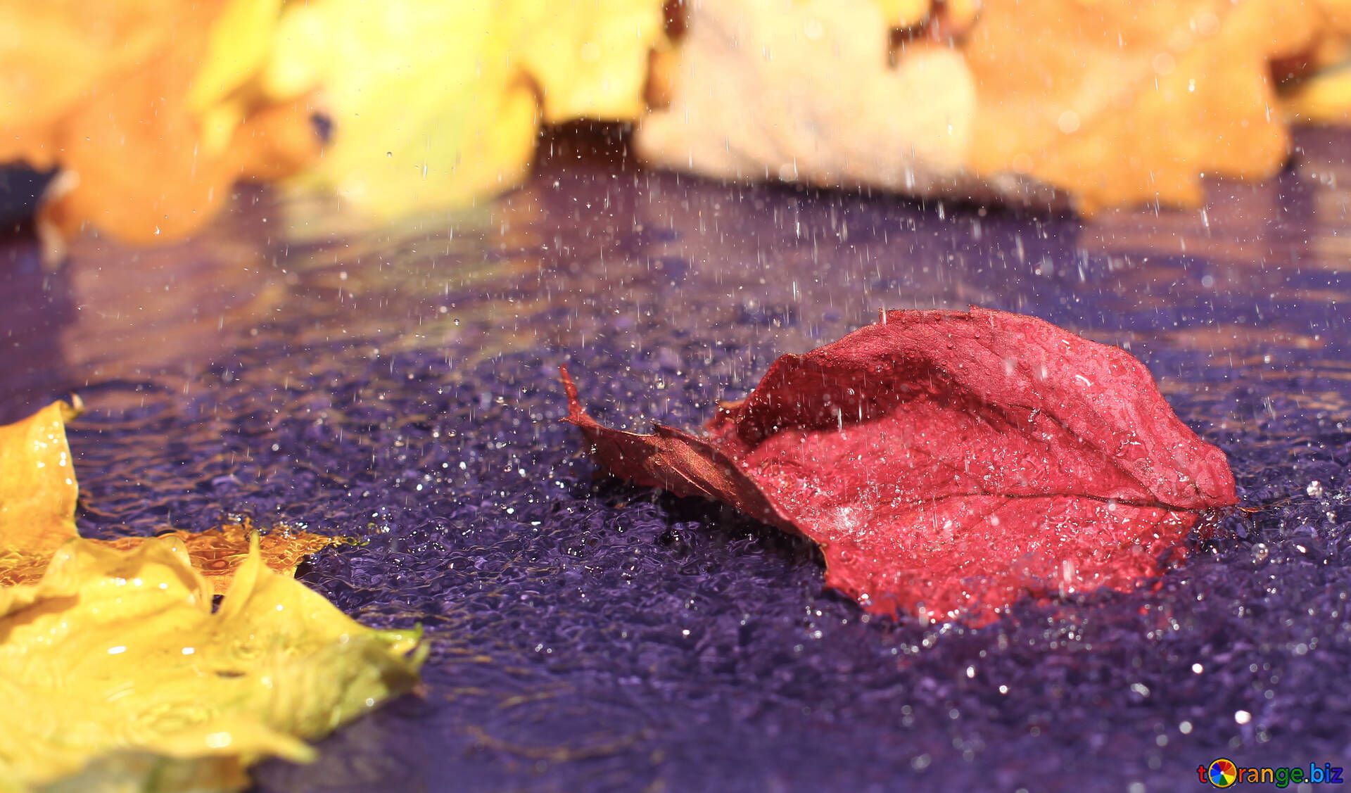 The Autumn Effect Wallpapers - Wallpaper Cave