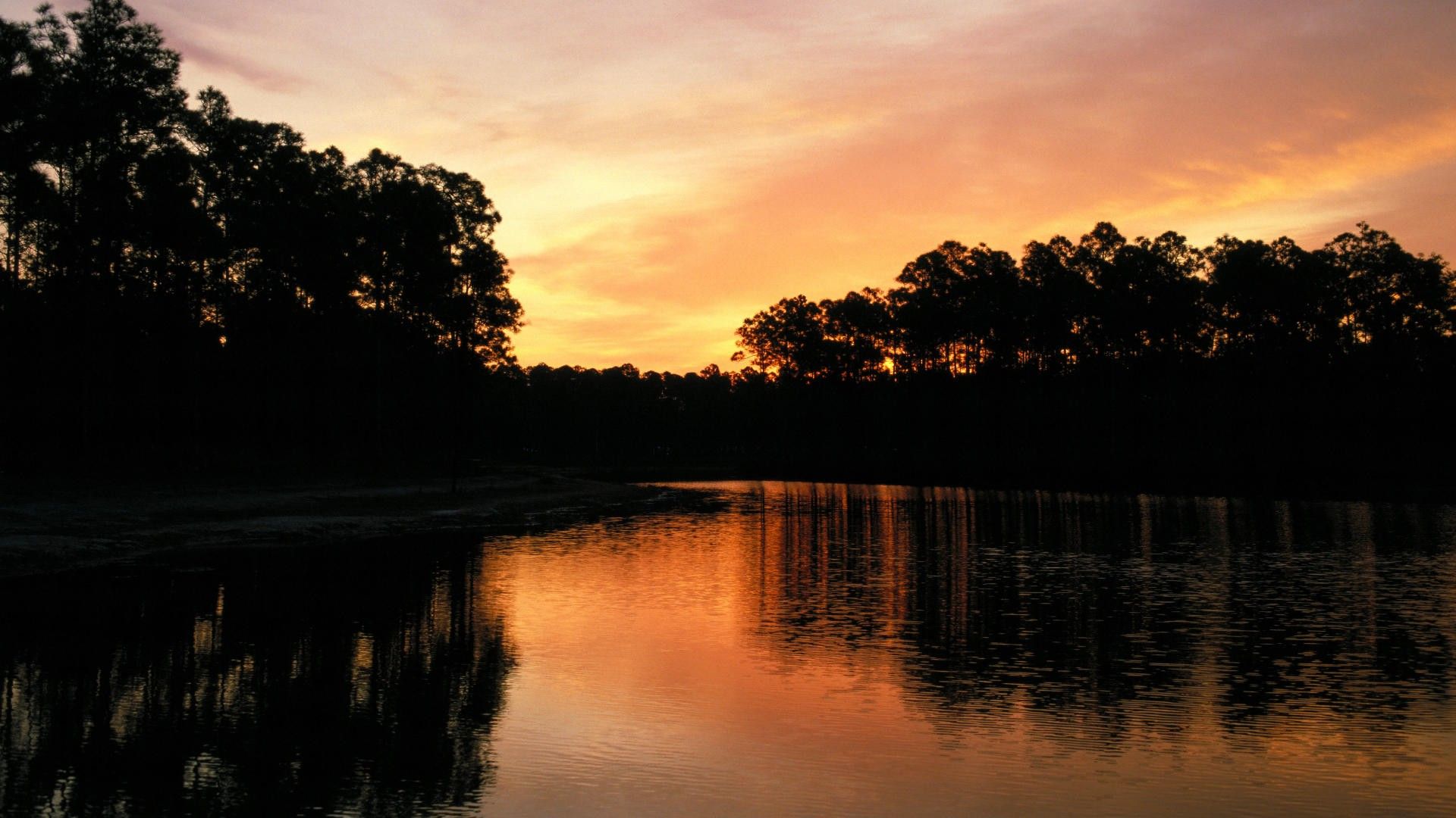 Florida Landscape Wallpapers - Wallpaper Cave