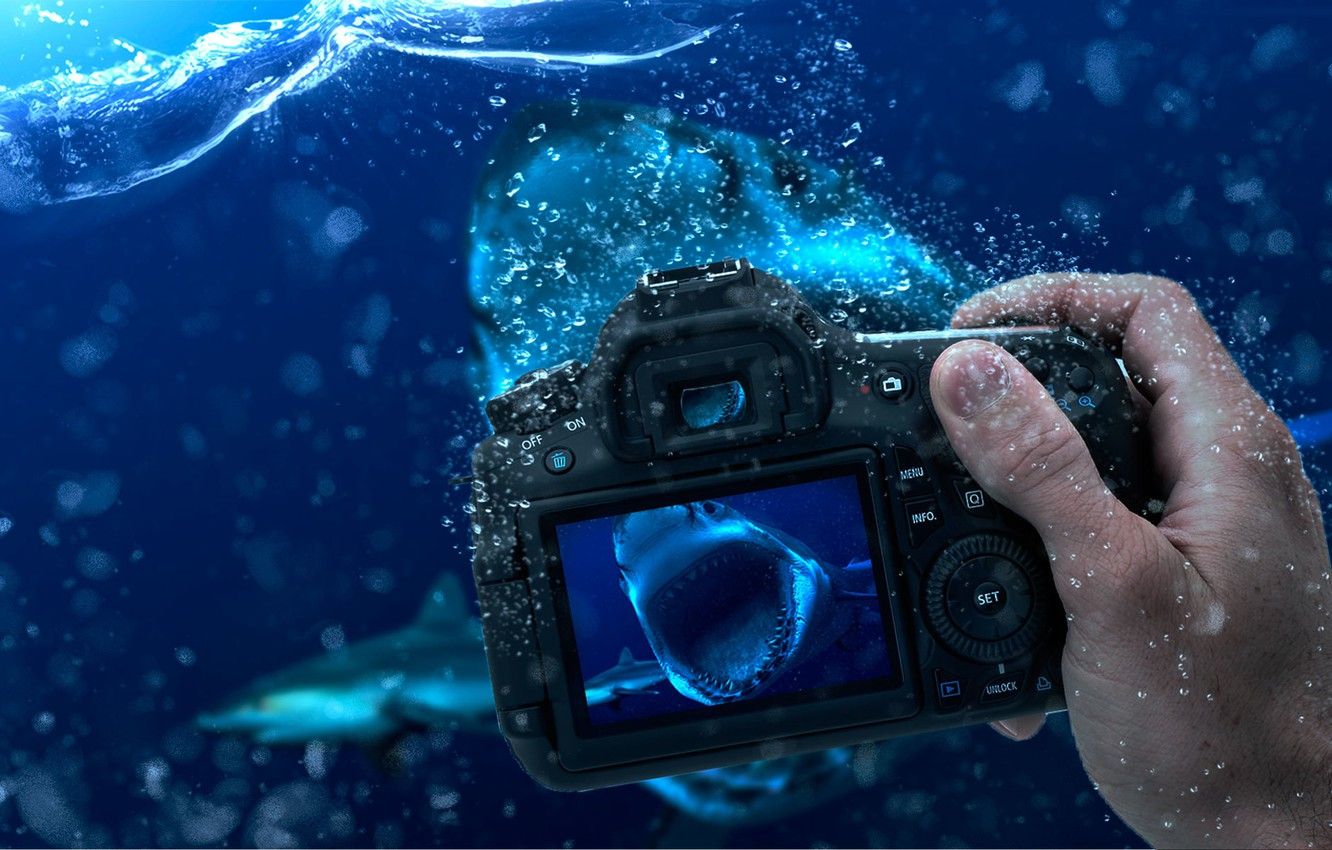 Camera Off Wallpapers - Wallpaper Cave