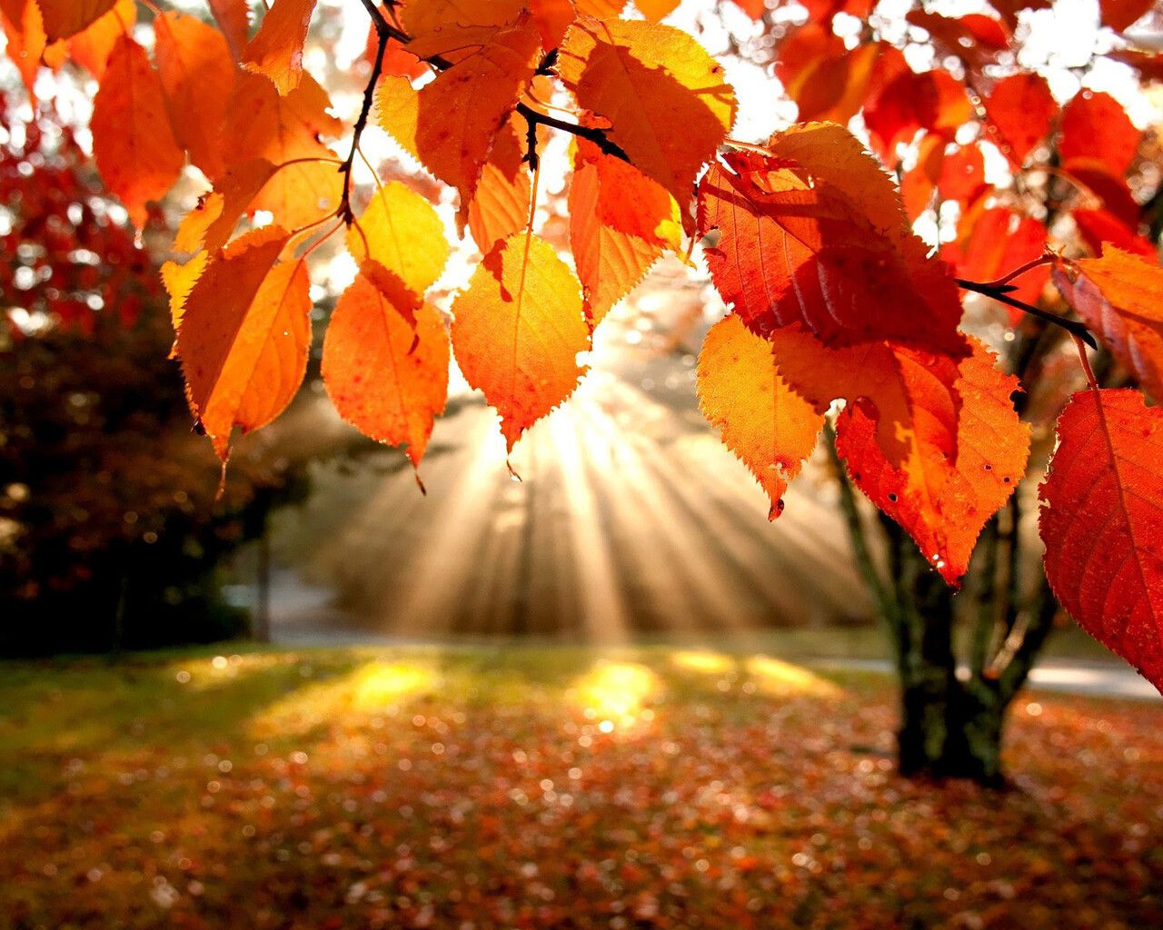 Autumn Warm Abstract Wallpapers - Wallpaper Cave