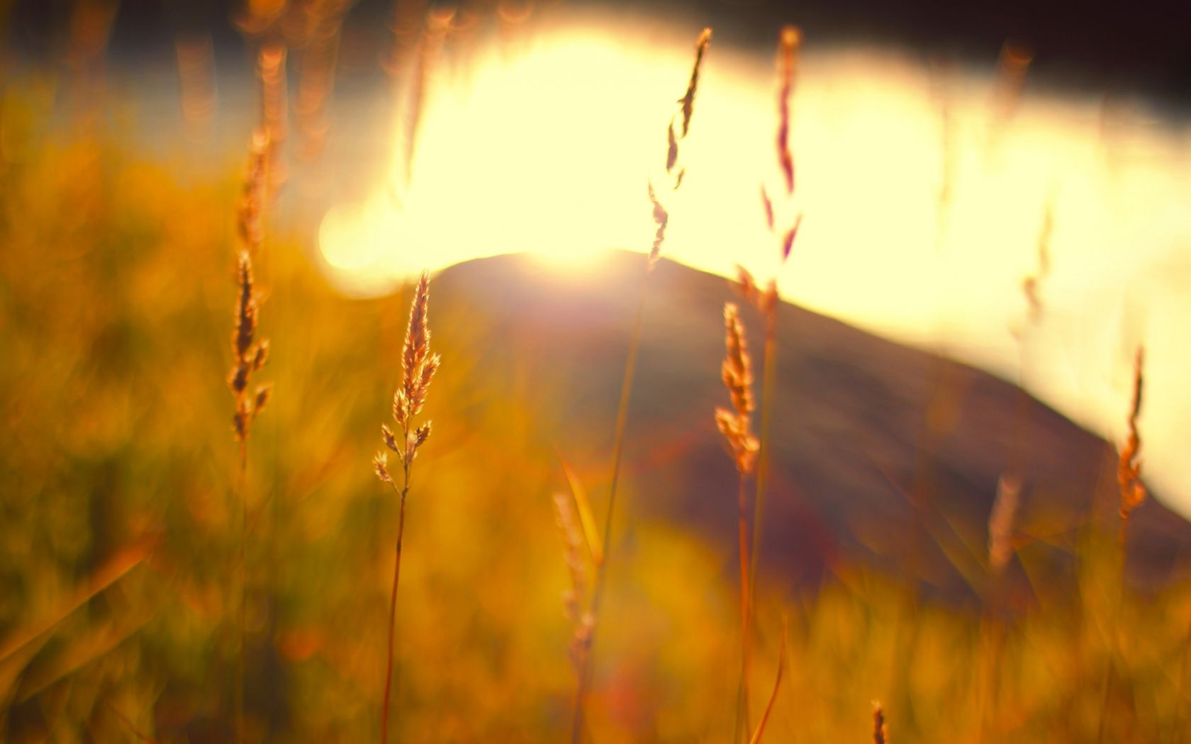 Autumn Warm Abstract Wallpapers - Wallpaper Cave