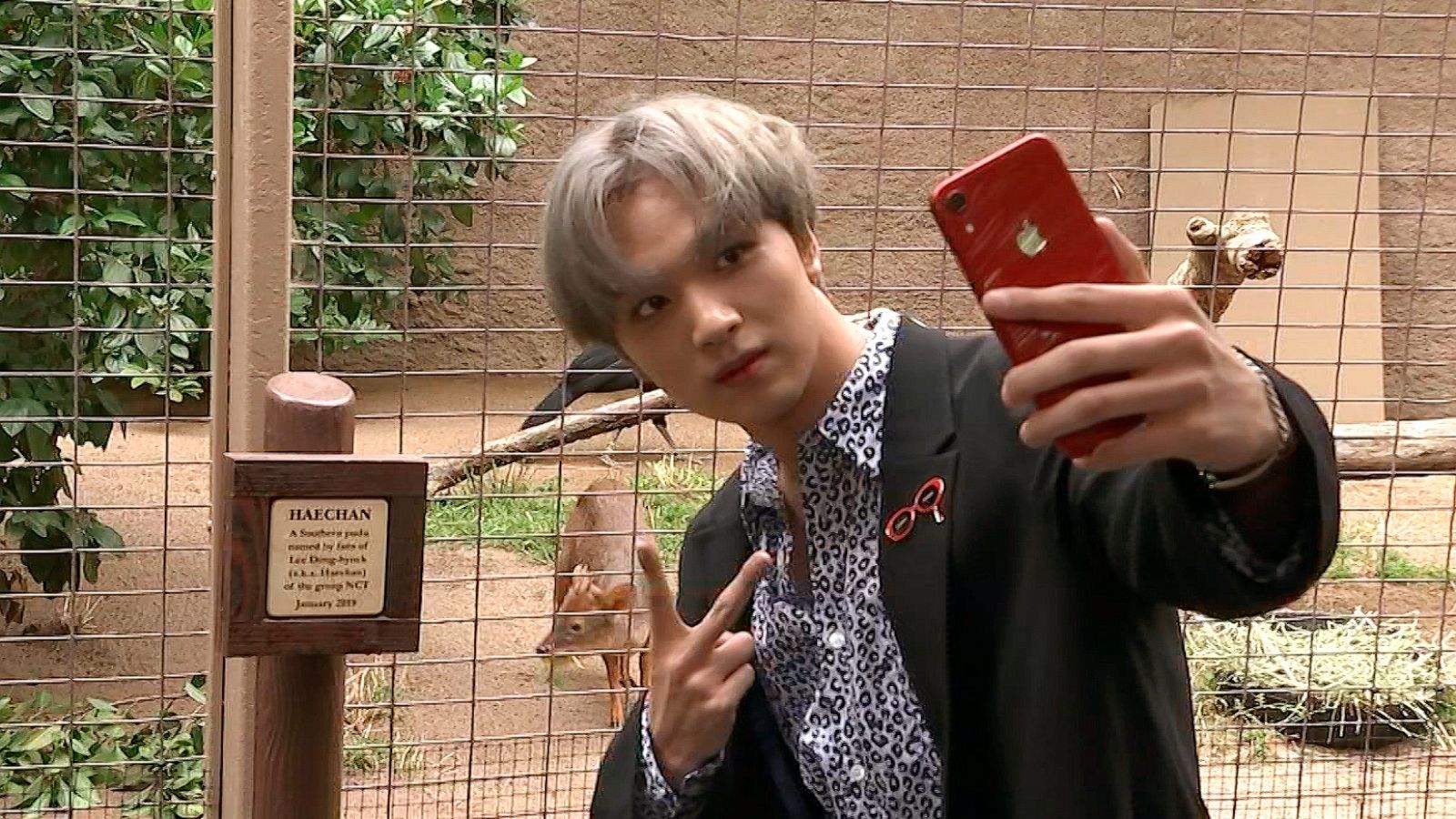 Haechan Desktop Wallpapers - Wallpaper Cave