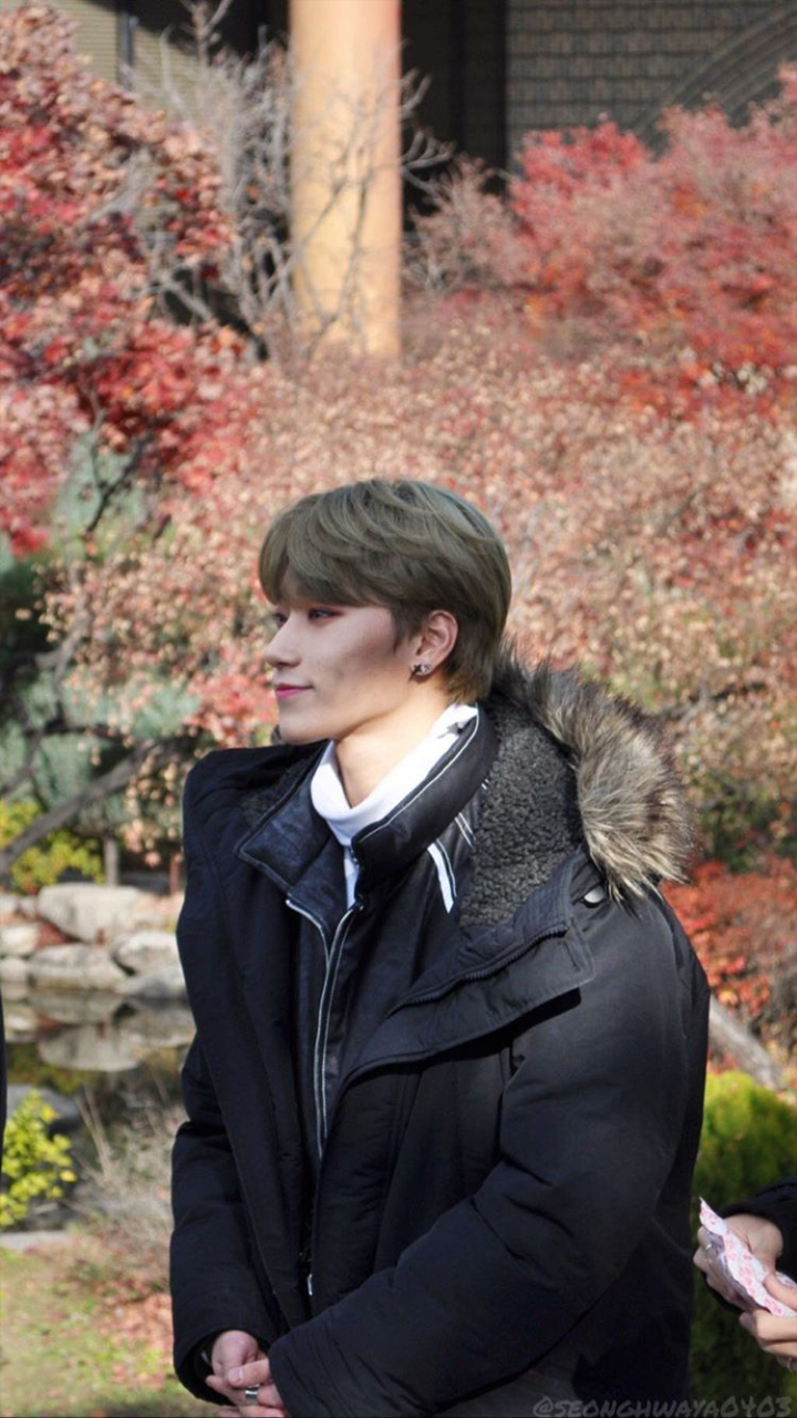 Autumn Aesthetic Kpop Wallpapers - Wallpaper Cave