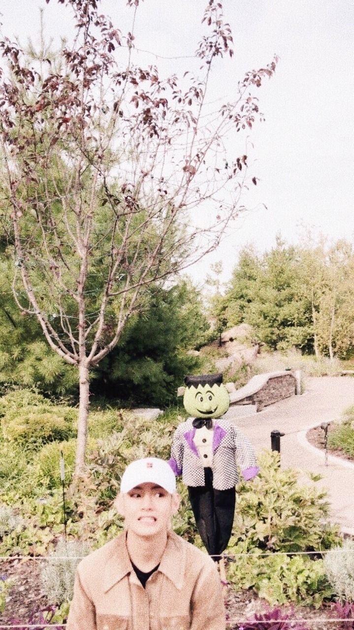 Autumn BTS Wallpapers - Wallpaper Cave