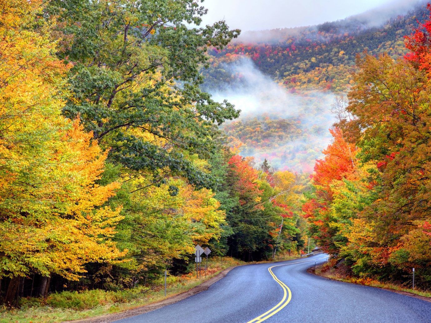 Autumn Road Route Forest Wallpapers - Wallpaper Cave