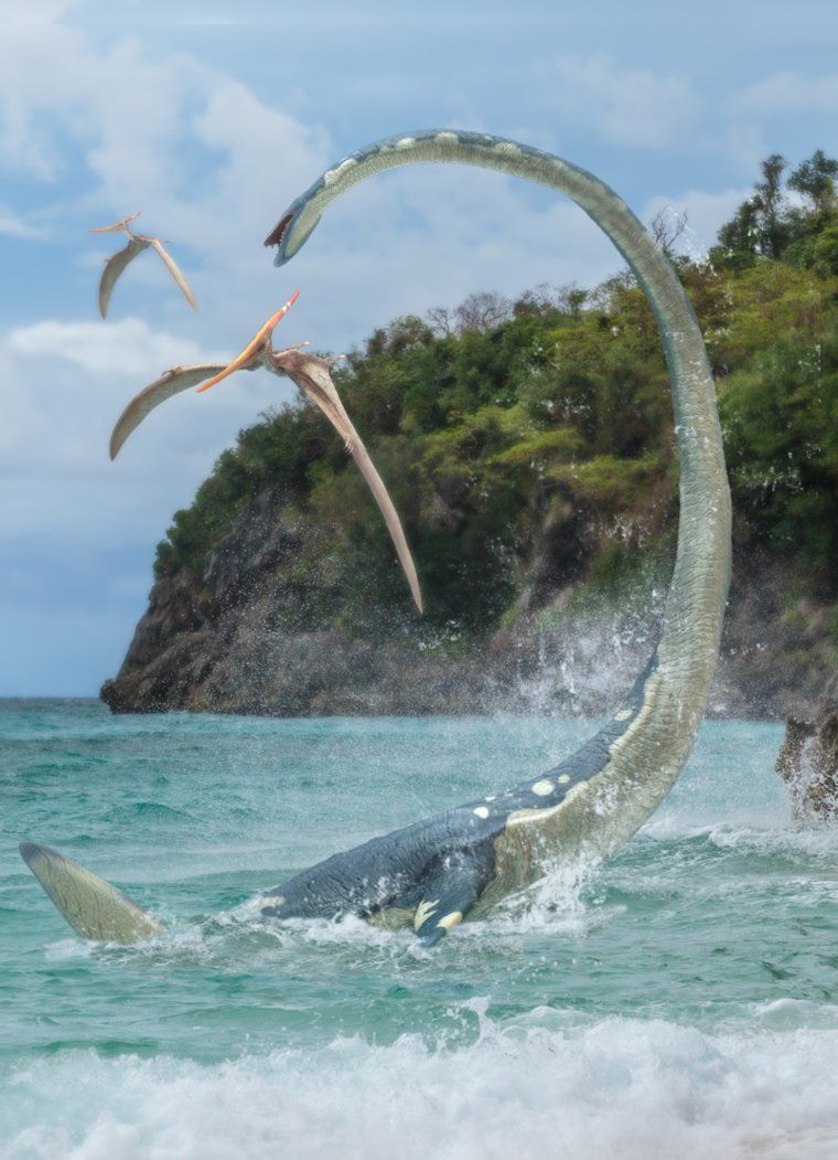 Elasmosaurus Wallpapers - Wallpaper Cave