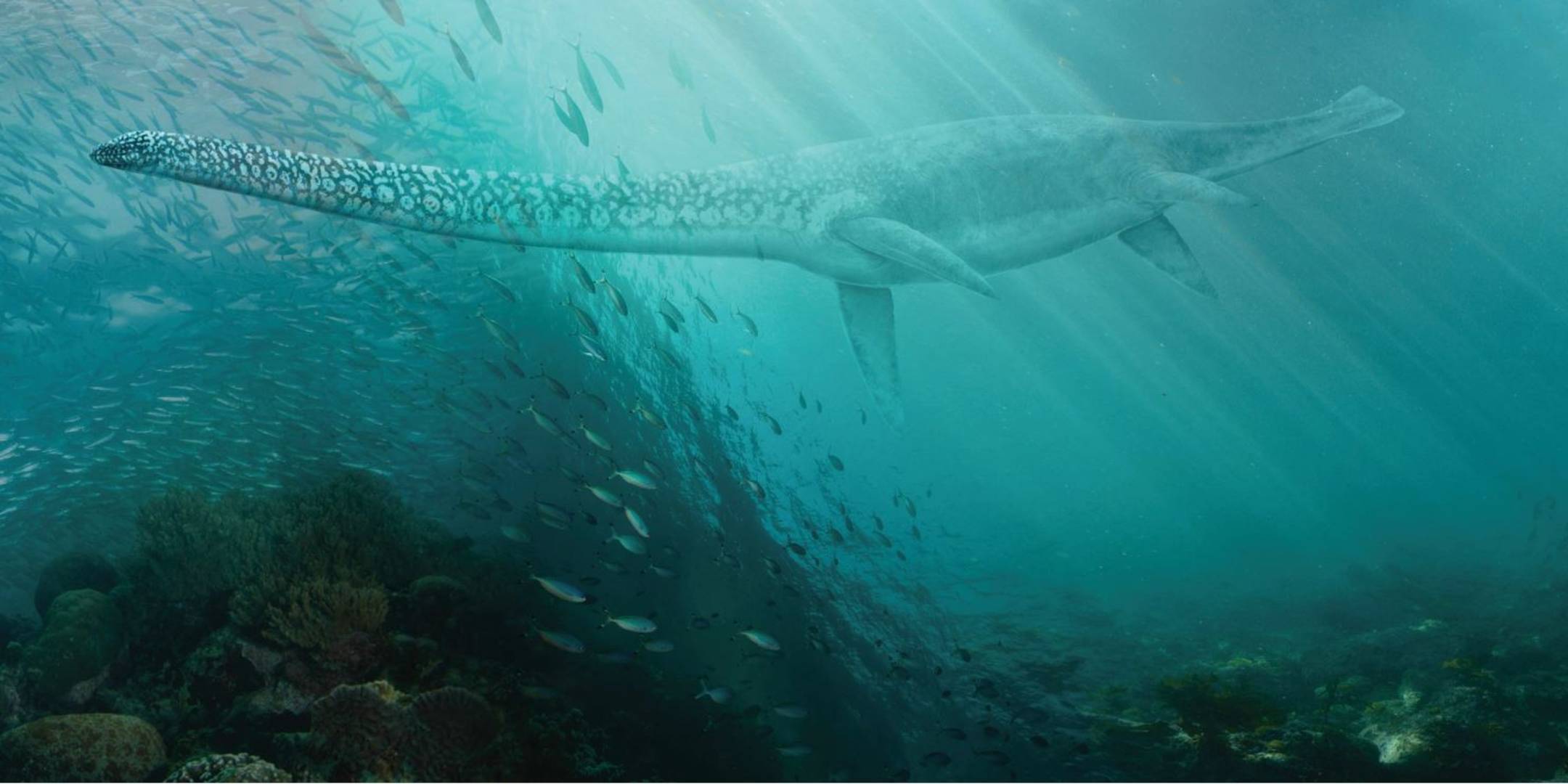 Elasmosaurus Wallpapers - Wallpaper Cave