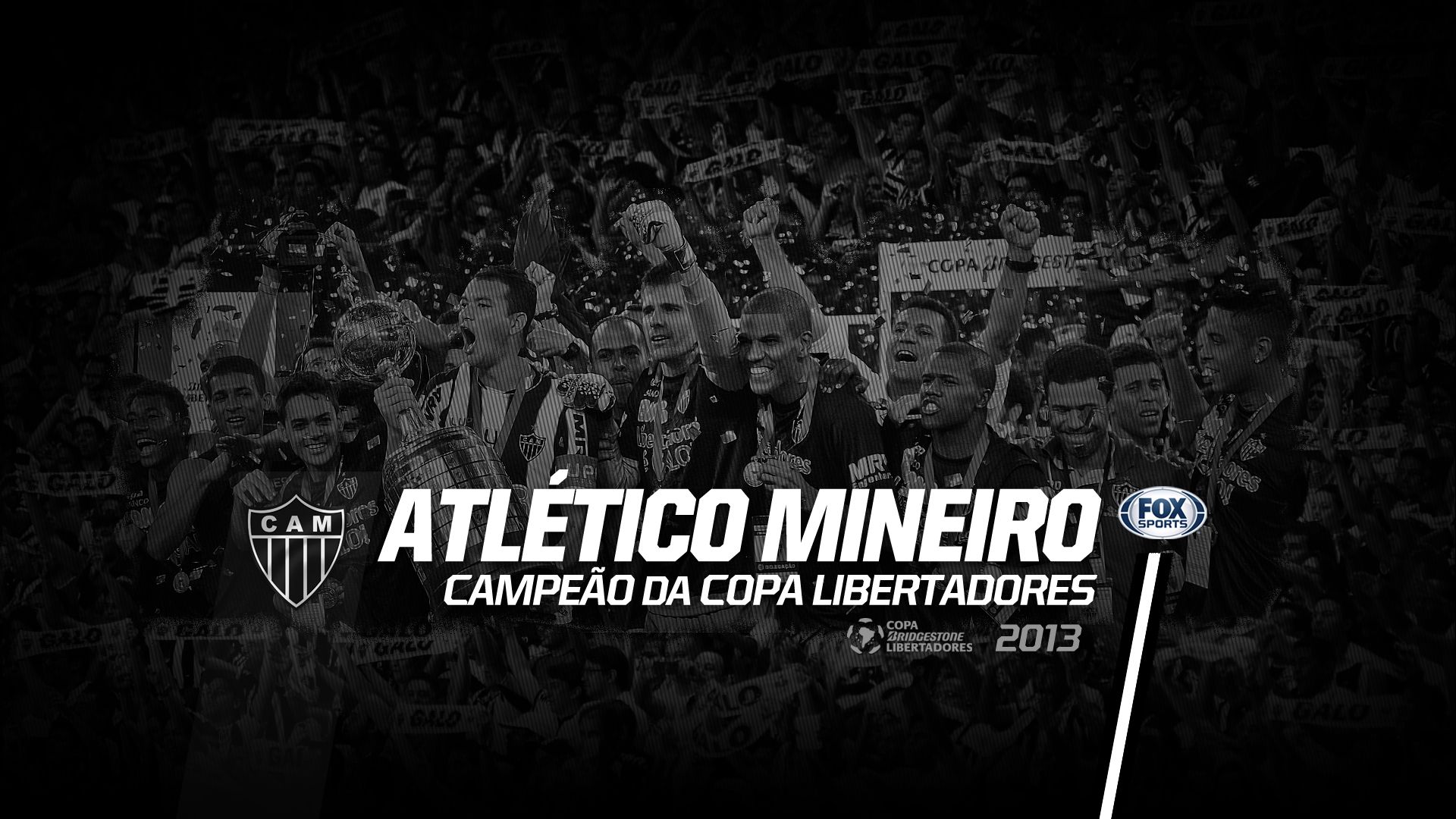 Atlético Mineiro Wallpapers - Wallpaper Cave