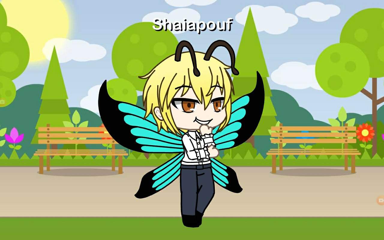 Shaiapouf Wallpapers - Wallpaper Cave