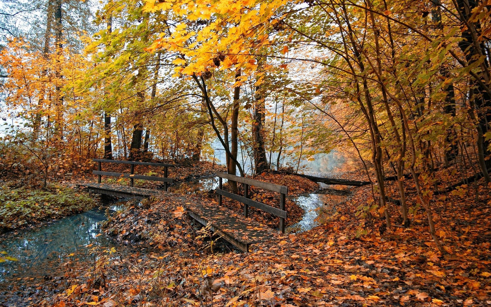 Bridge In Autumn Wallpapers - Wallpaper Cave