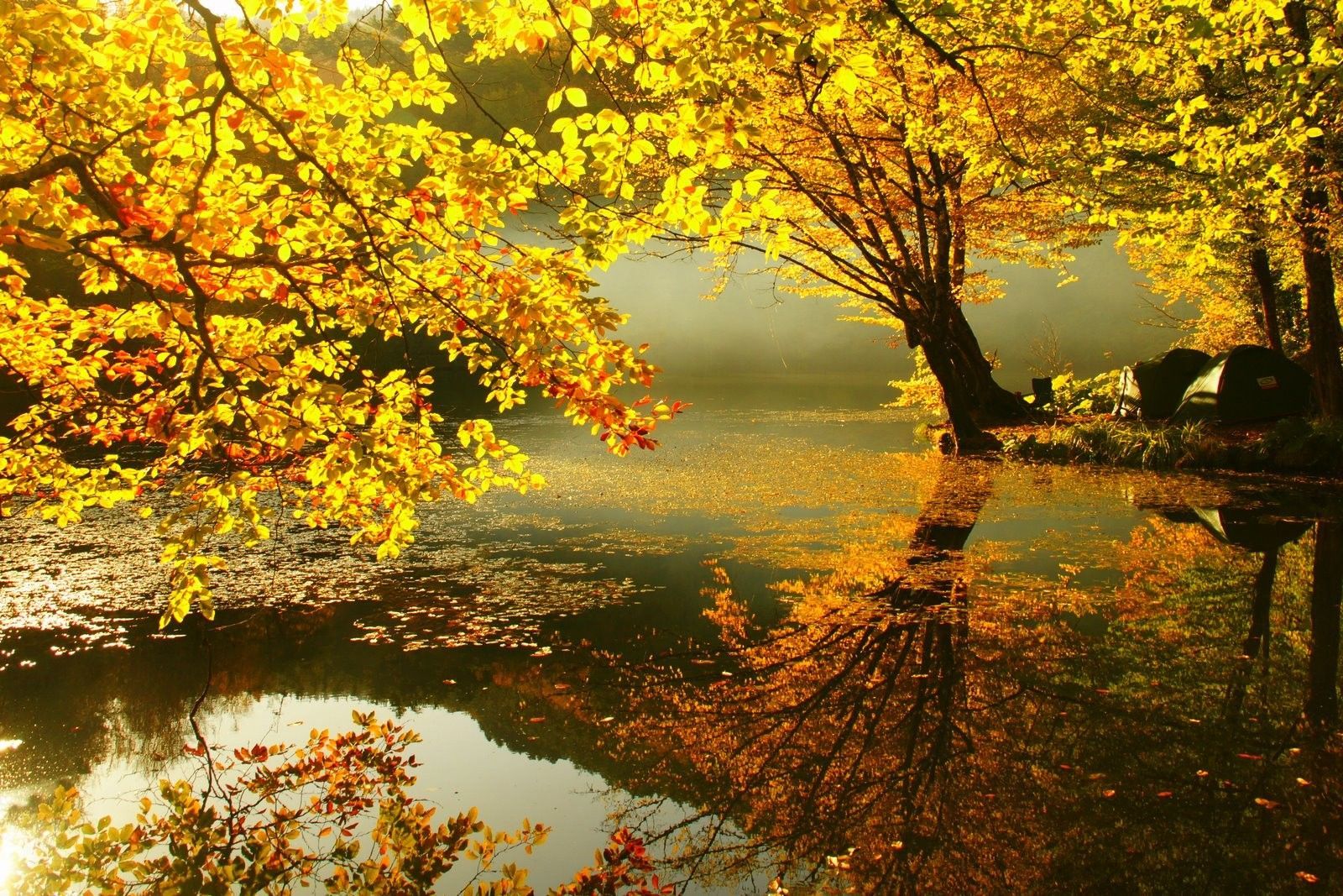 Autumn Dreamy Wallpapers - Wallpaper Cave
