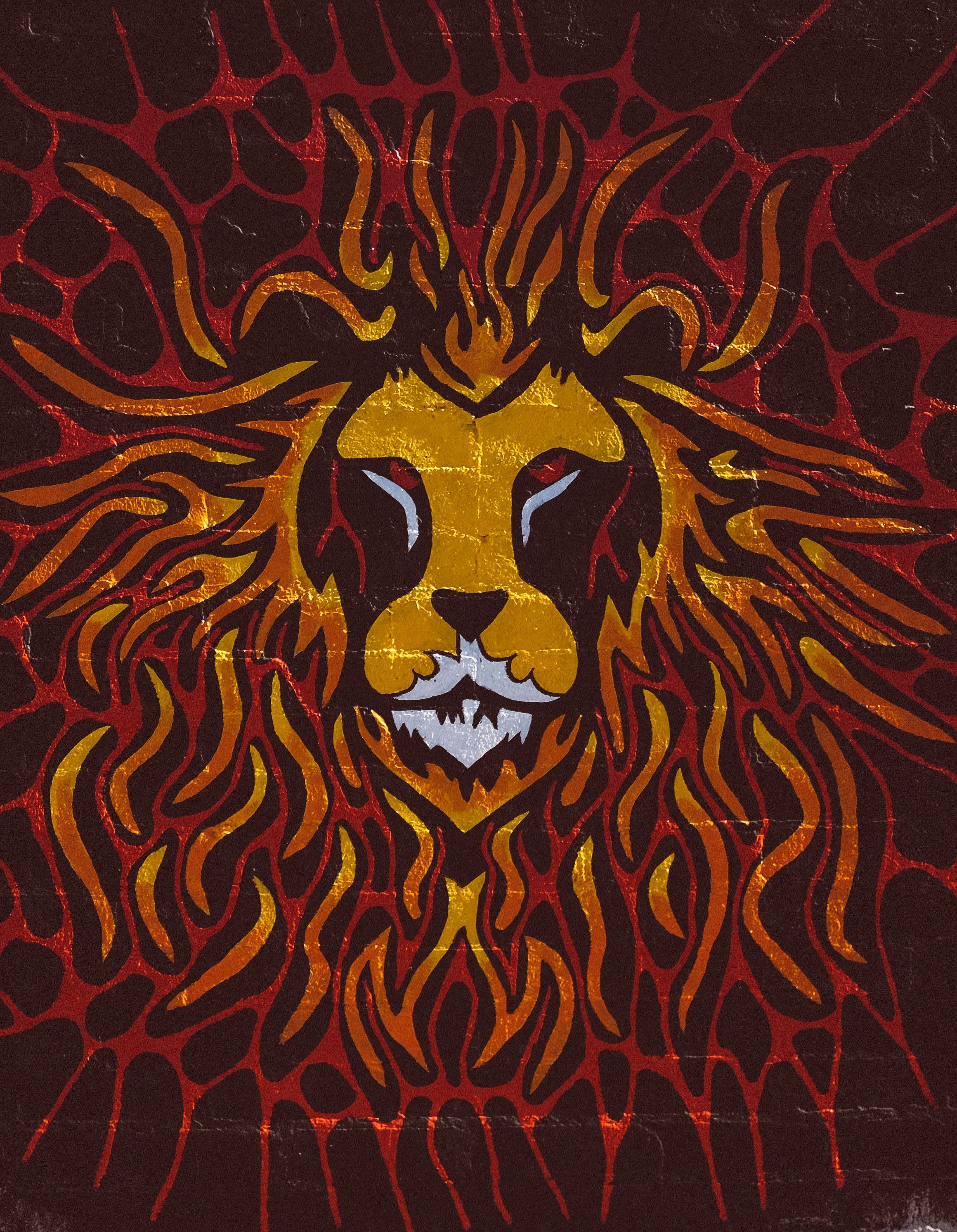 Lion Graffiti Wallpapers - Wallpaper Cave