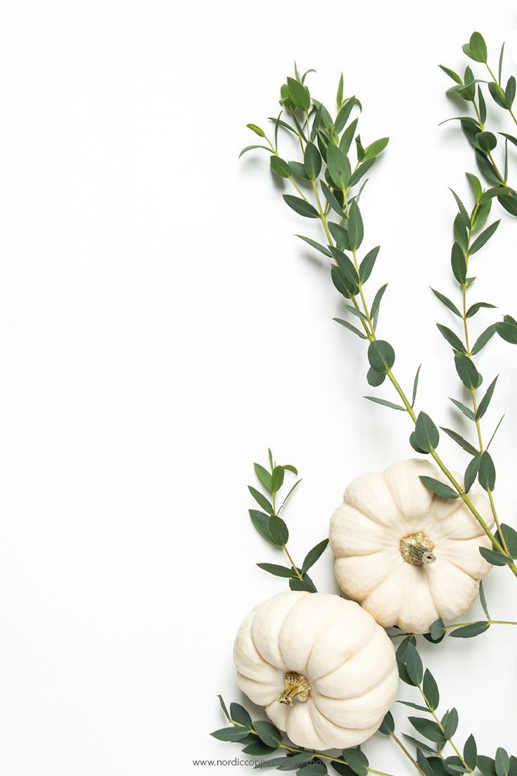 White Pumpkin Wallpapers - Wallpaper Cave