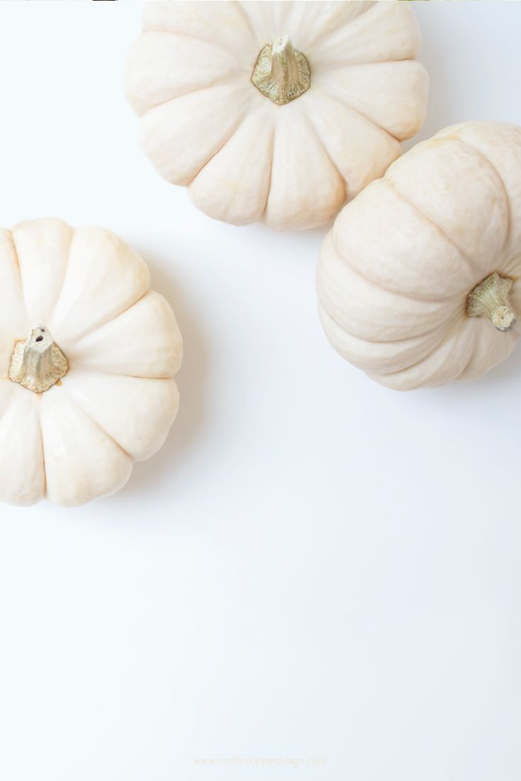 White Pumpkin Wallpapers - Wallpaper Cave