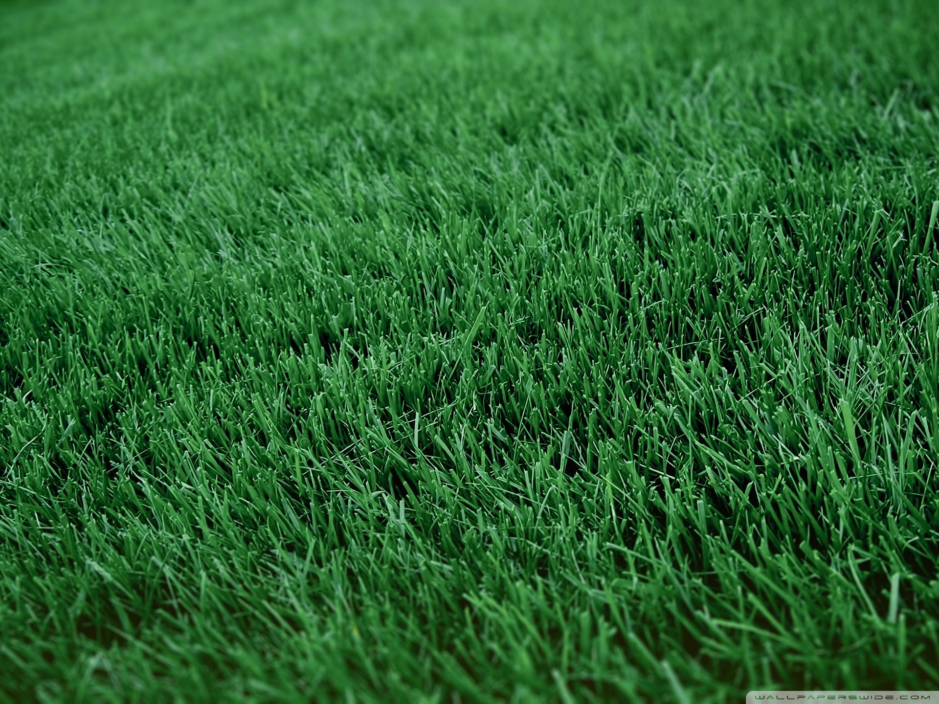 Sod Wallpapers - Wallpaper Cave