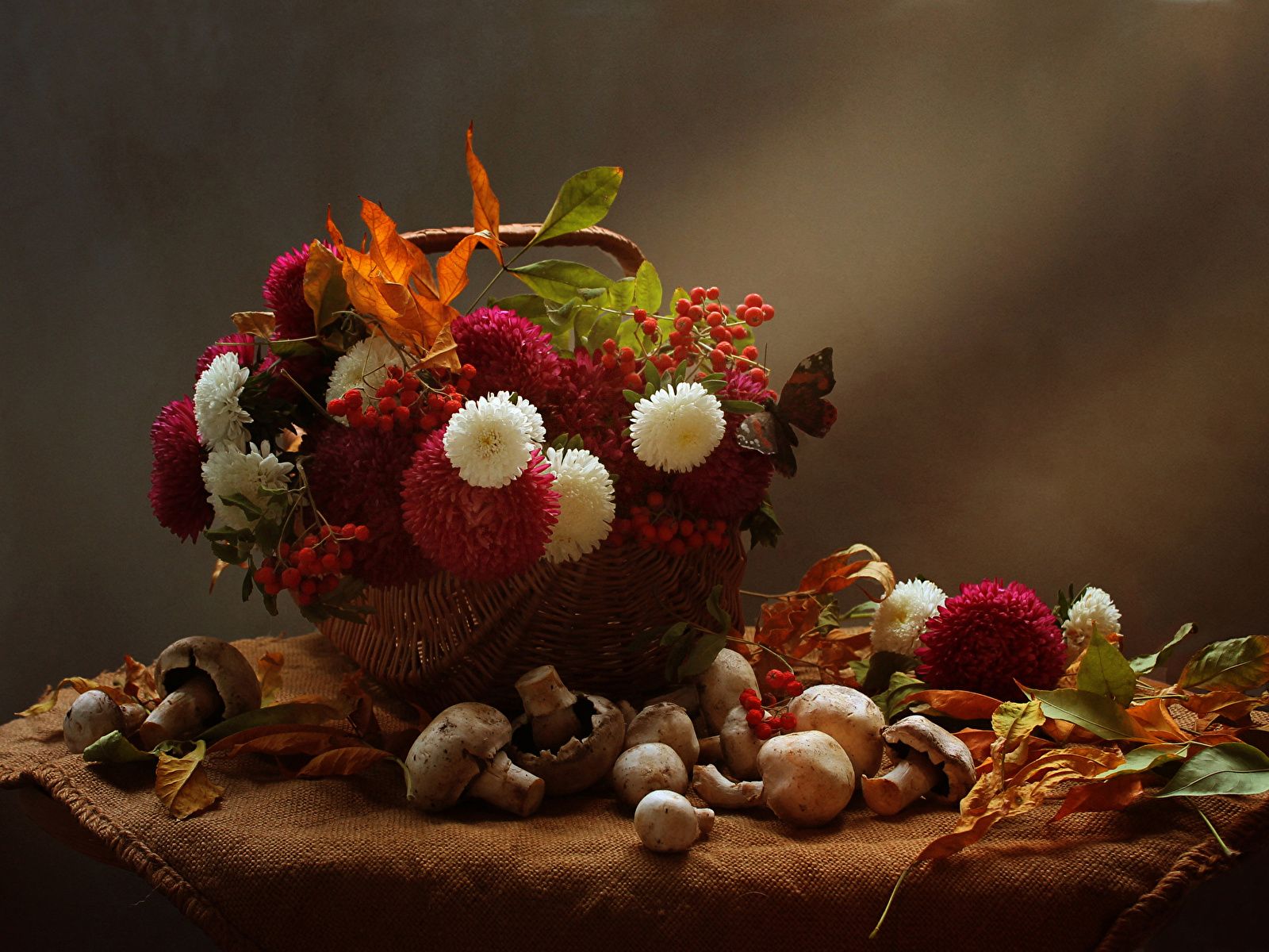 Fall Berry Wallpaper