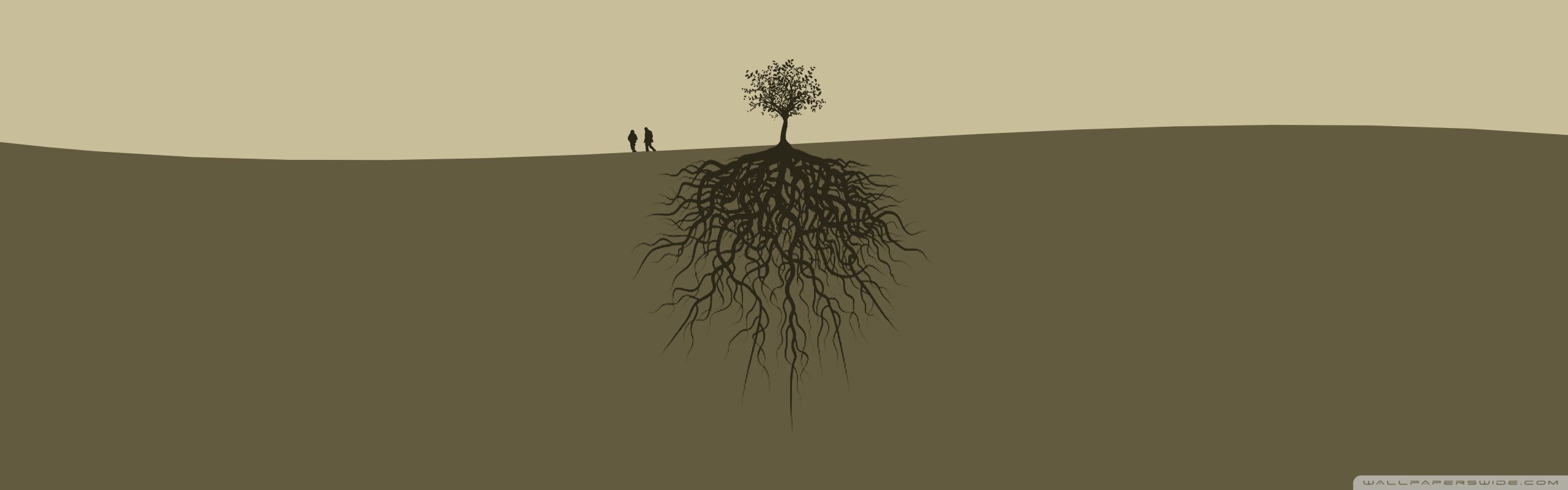 Tree Roots Wallpapers - Wallpaper Cave