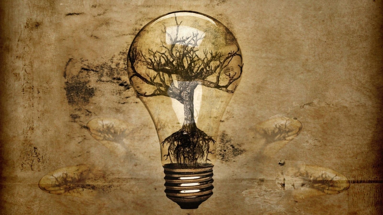 Roots Wallpapers - Wallpaper Cave