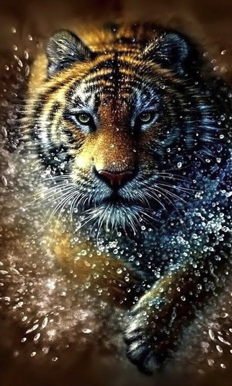 Tiger HD Mobile Wallpapers - Wallpaper Cave