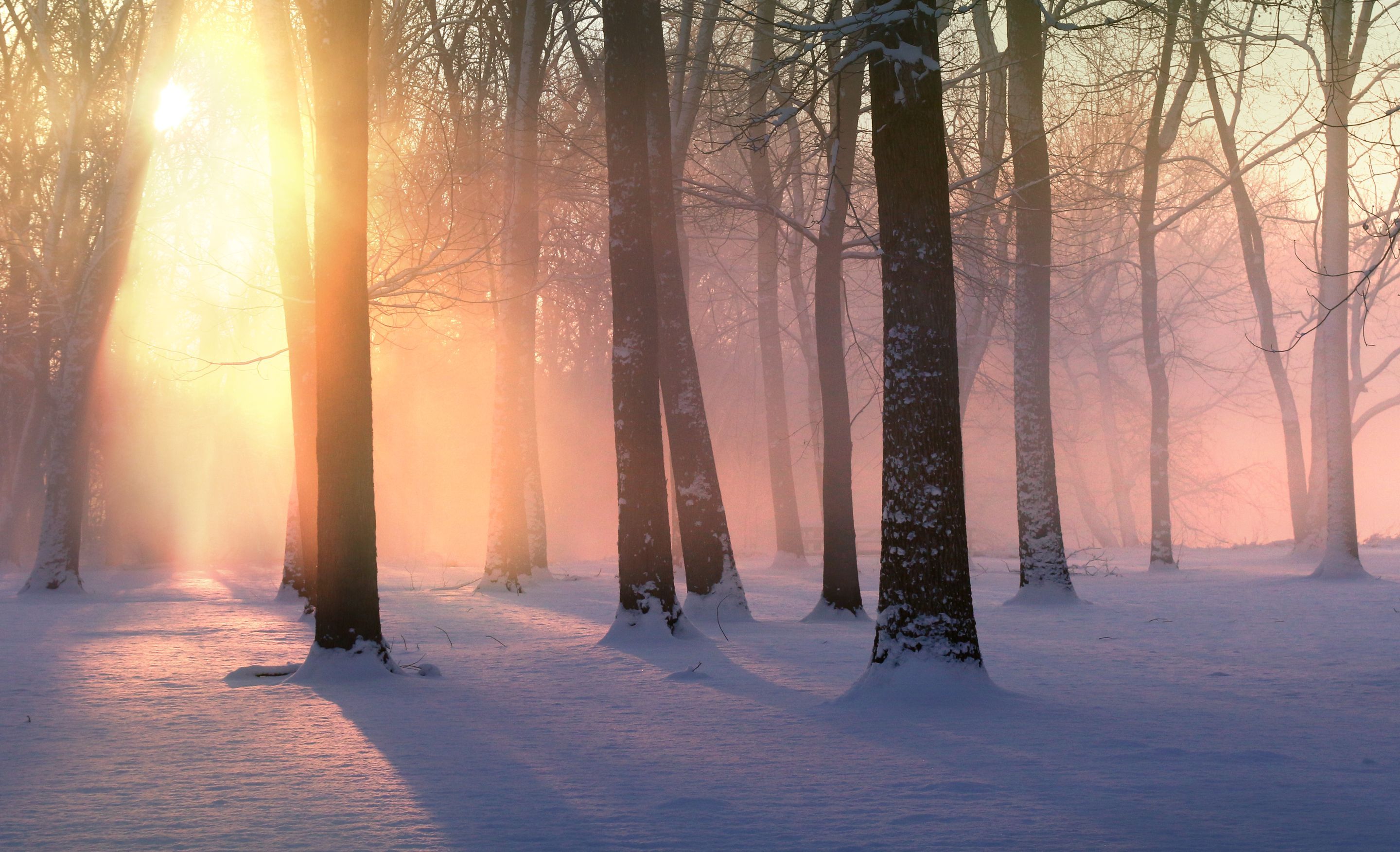 Peaceful Country Morning Wallpapers - Wallpaper Cave